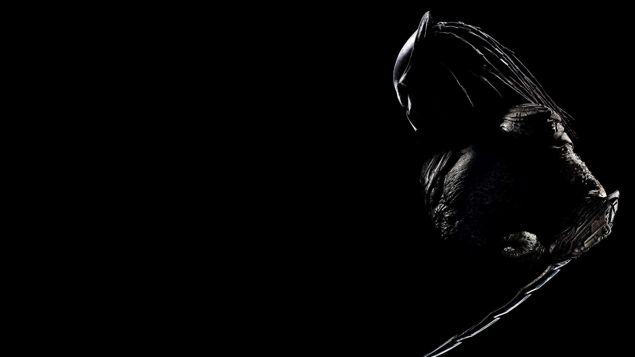 Predator Laptop Wallpapers - Top Free Predator Laptop Backgrounds ...