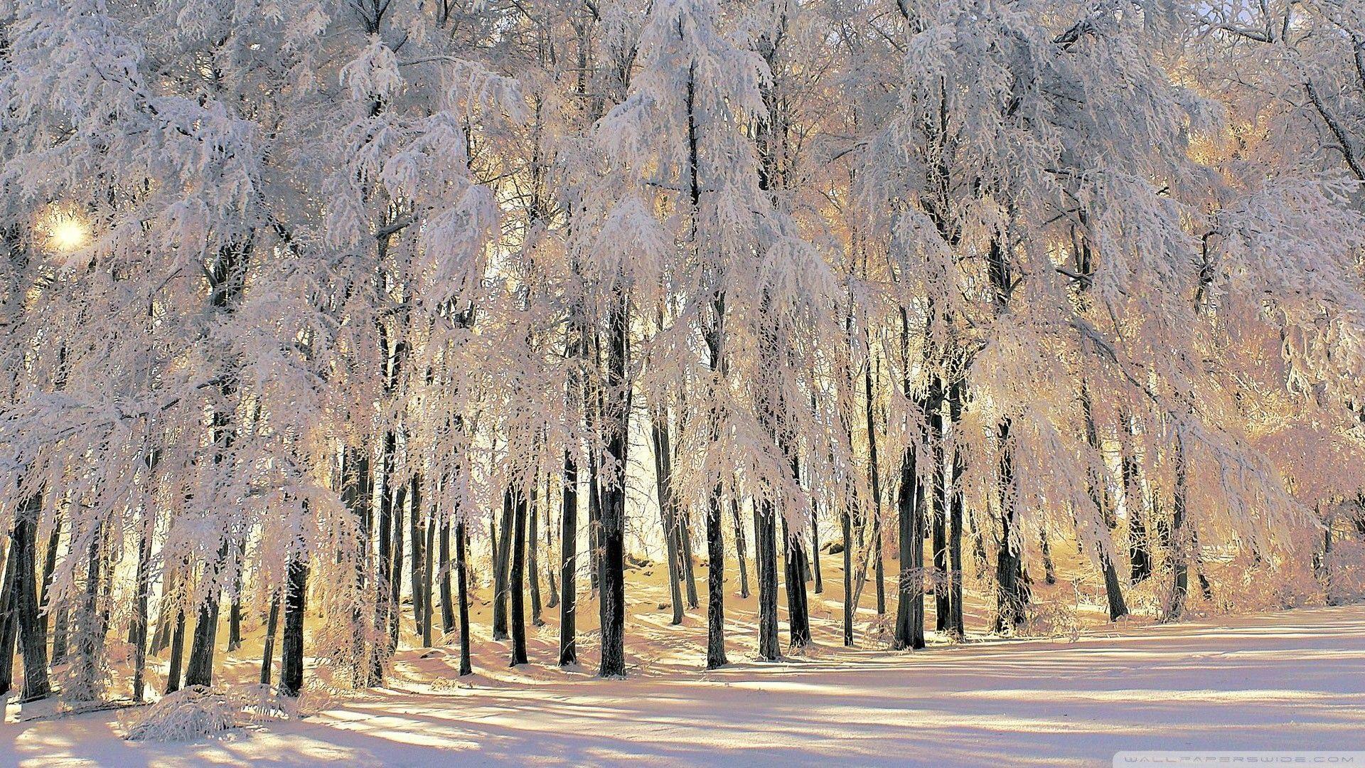 Paris Winter Wallpapers - Top Free Paris Winter Backgrounds ...