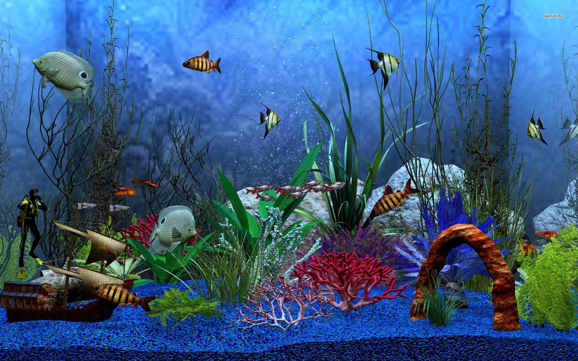 Fish Tank Wallpapers - Top Free Fish Tank Backgrounds - WallpaperAccess
