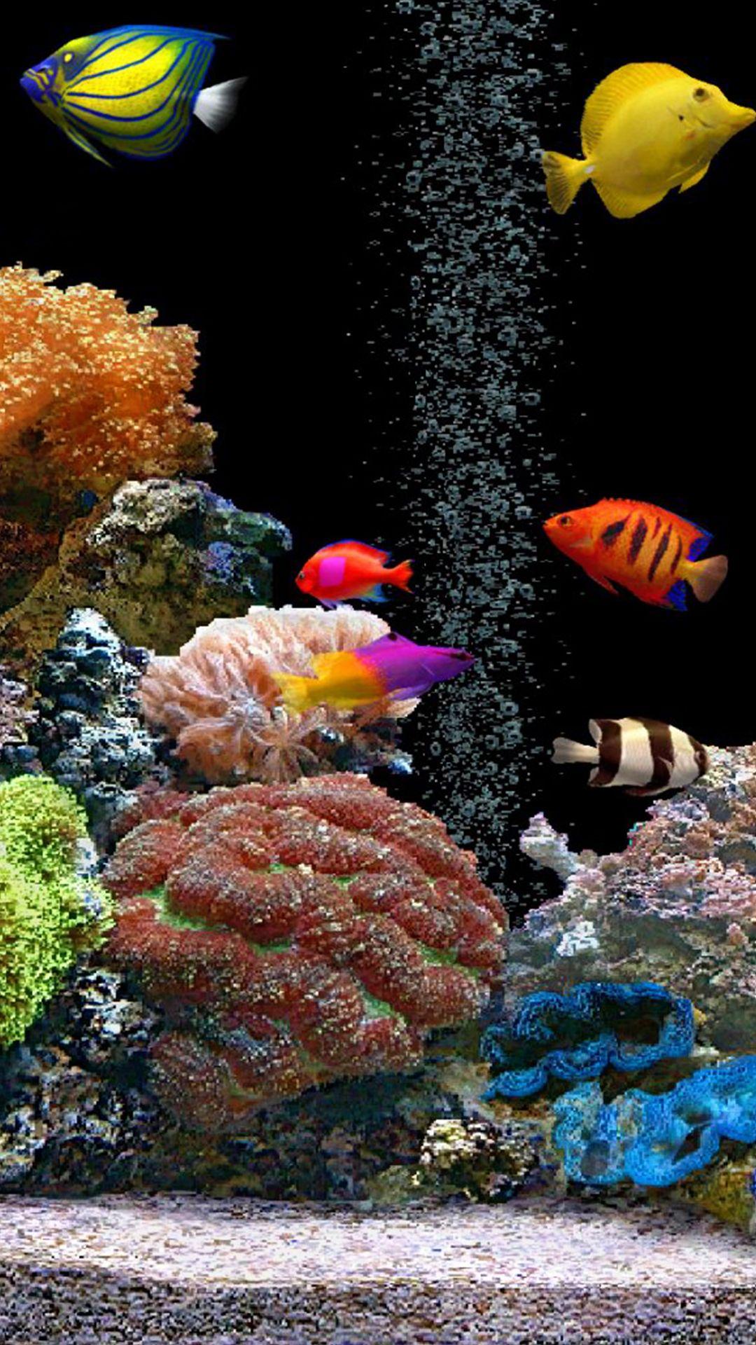 Fish Tank Wallpapers - Top Free Fish Tank Backgrounds - WallpaperAccess