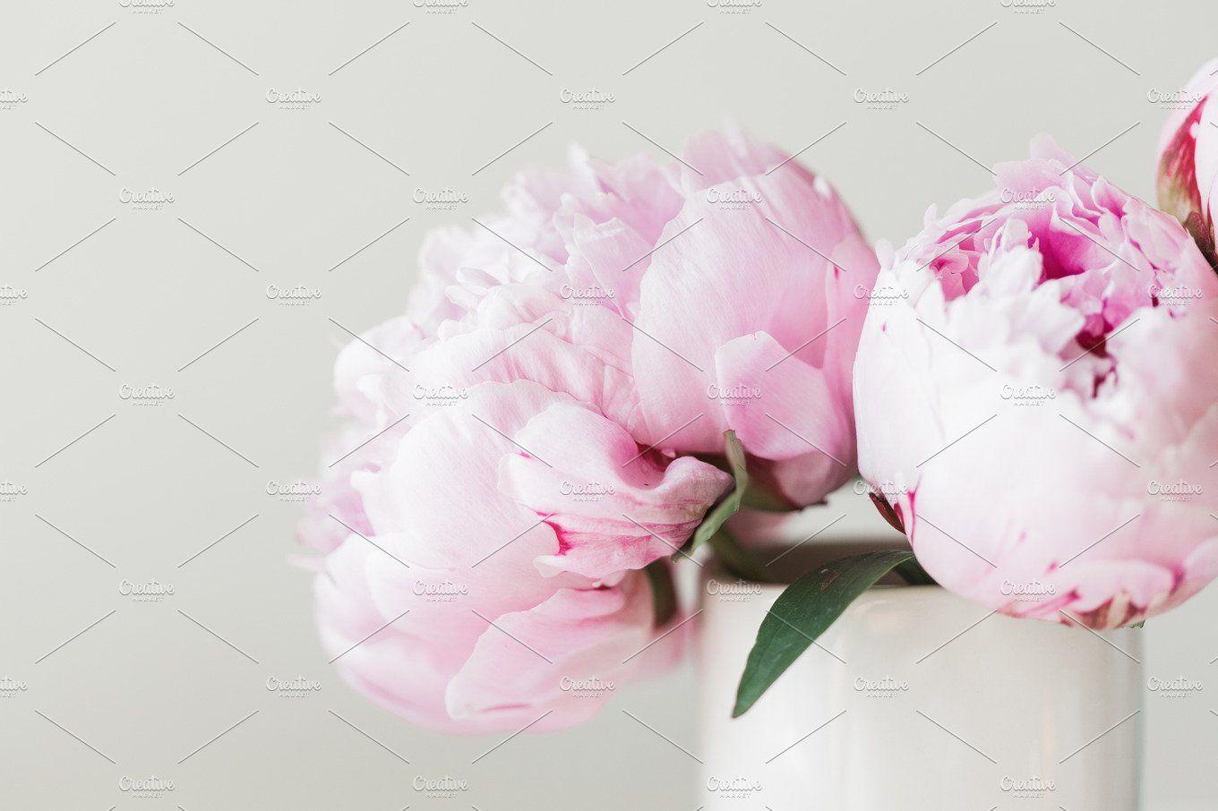 Pink Peony Wallpapers - Top Free Pink Peony Backgrounds - WallpaperAccess