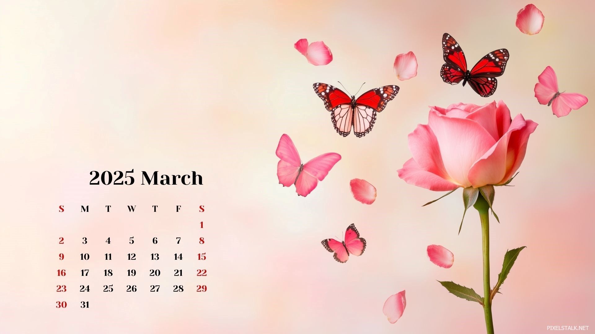 March 2025 Calendar Wallpapers - Top Free March 2025 Calendar ...