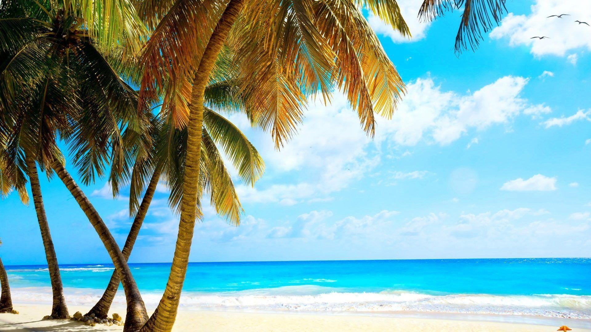 Boracay Wallpapers - Top Free Boracay Backgrounds - WallpaperAccess