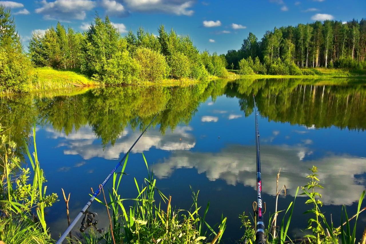 Fishing PC Wallpapers - Top Free Fishing PC Backgrounds - WallpaperAccess