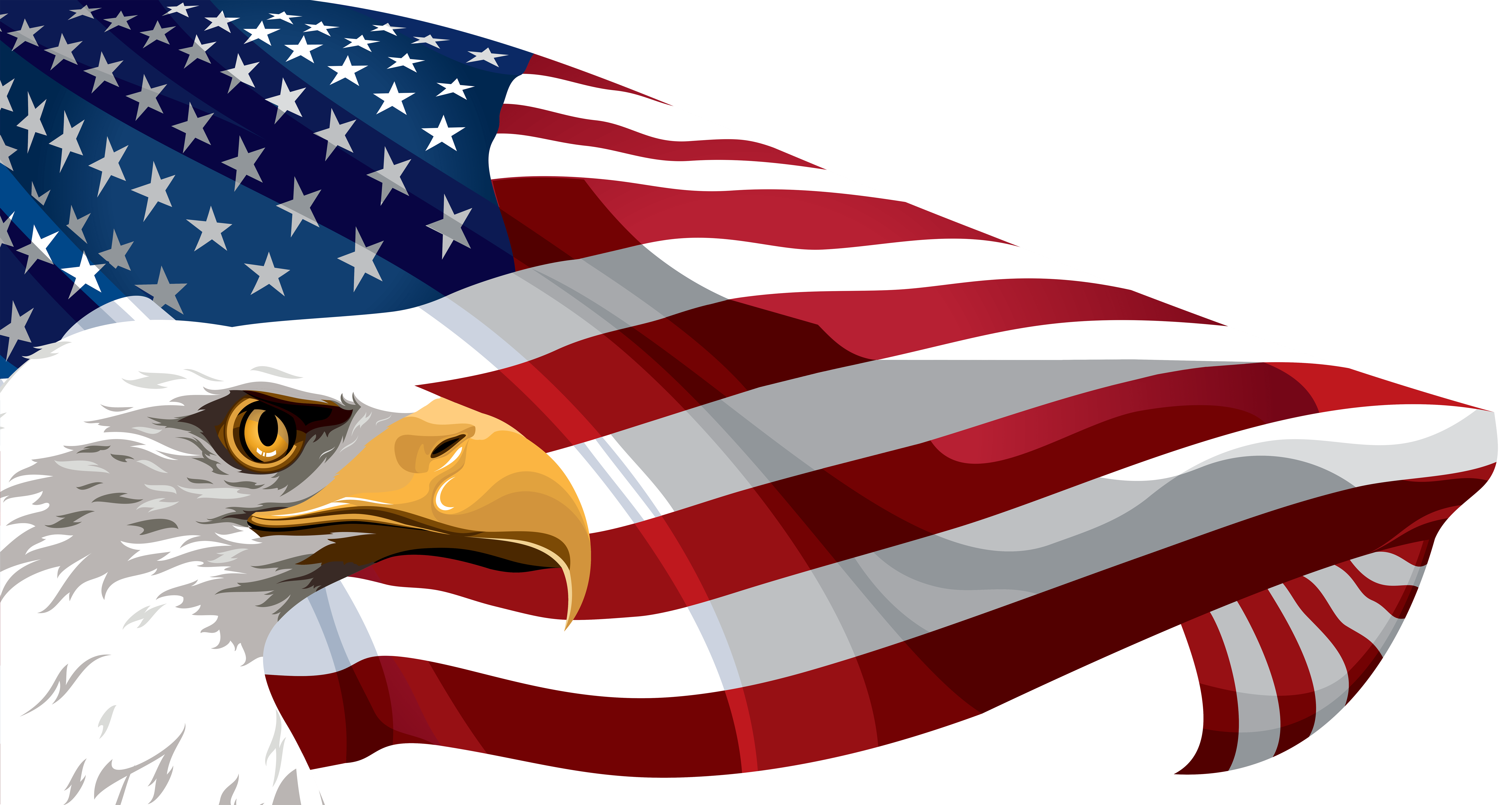 Veterans Day Eagle Wallpapers - Top Free Veterans Day Eagle Backgrounds ...