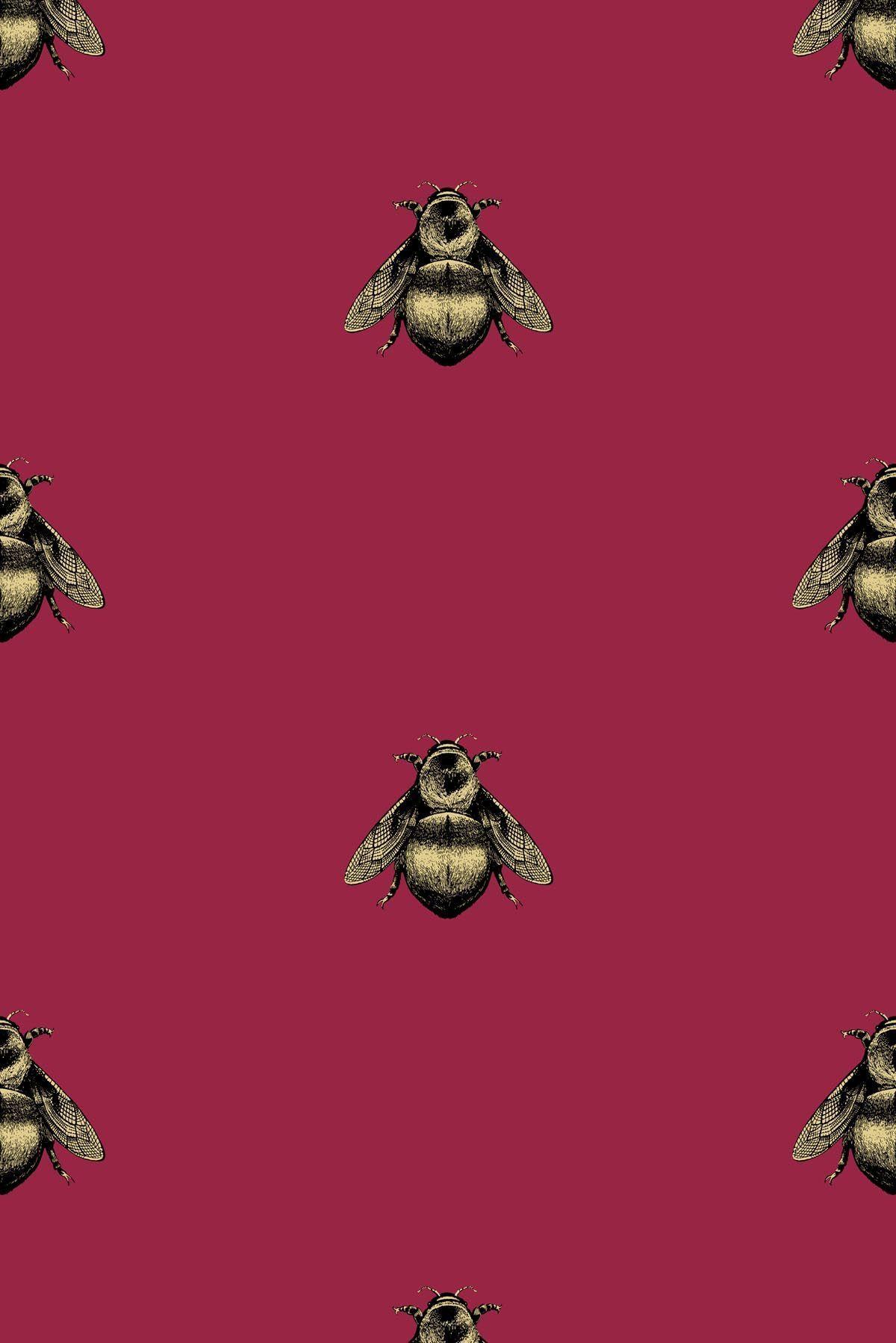 Gucci Bee Wallpapers - Top Free Gucci Bee Backgrounds - WallpaperAccess