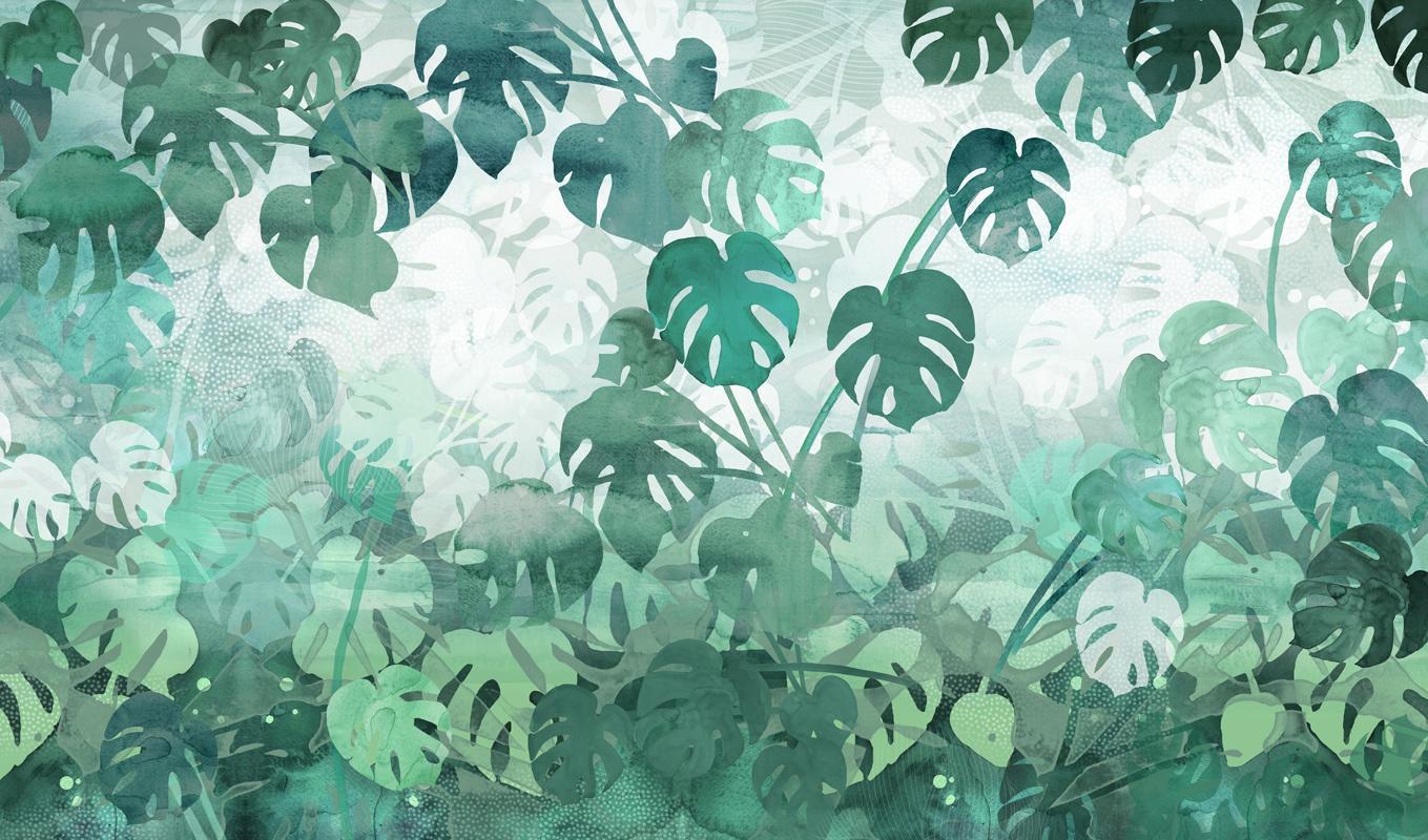 Monstera Wallpapers - Top Free Monstera Backgrounds - WallpaperAccess
