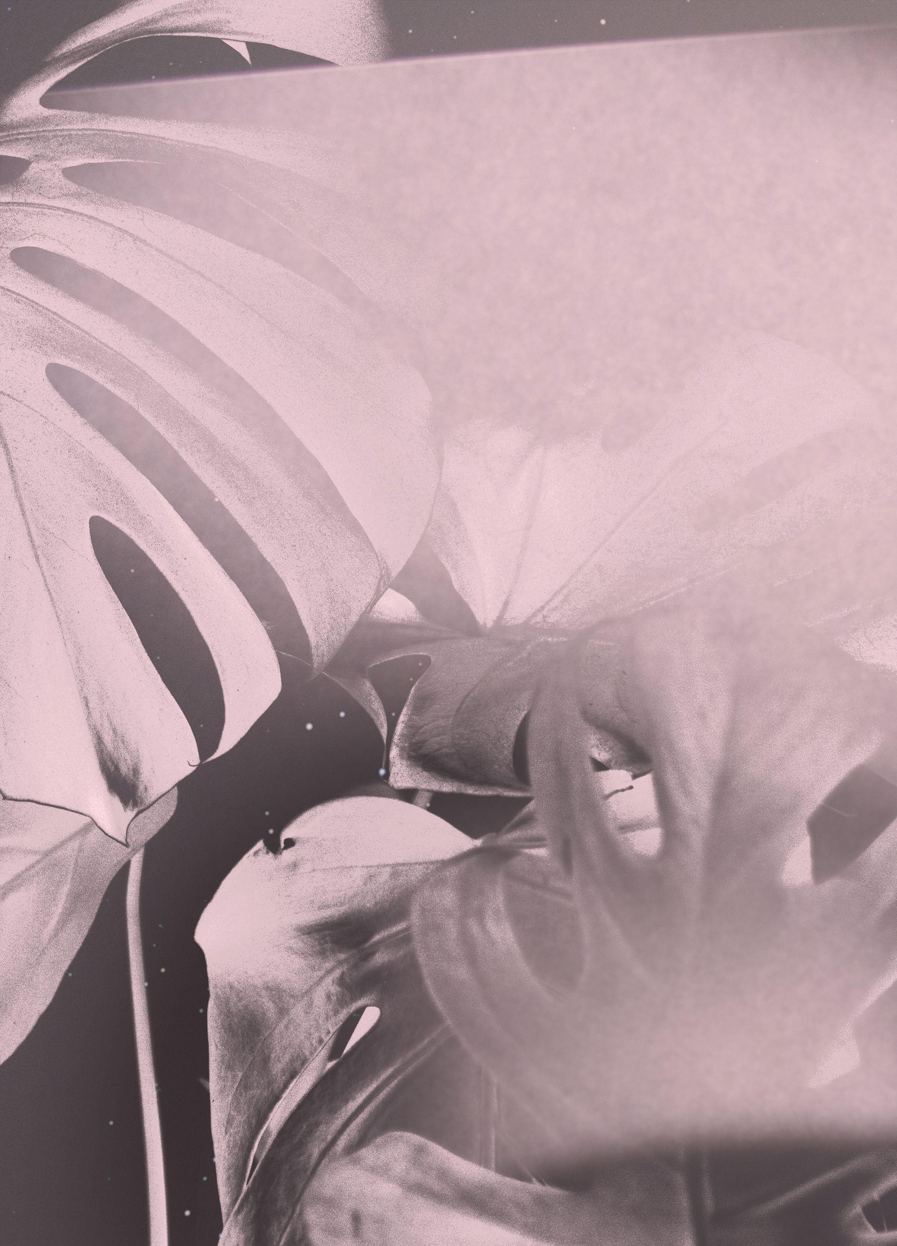 Moonchild Wallpapers - Top Free Moonchild Backgrounds - WallpaperAccess