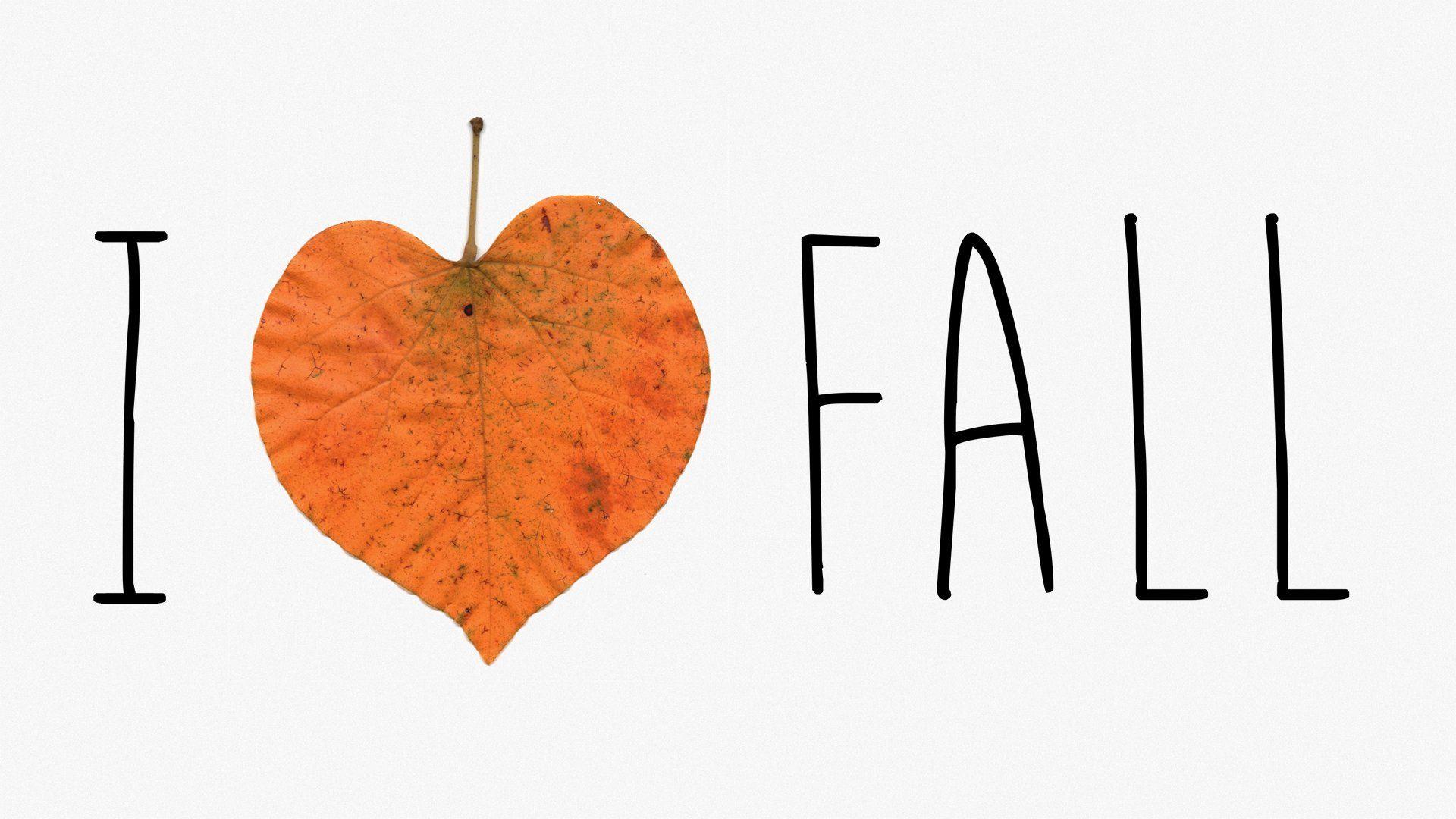 Pumpkin Spice Wallpapers - Top Free Pumpkin Spice Backgrounds ...