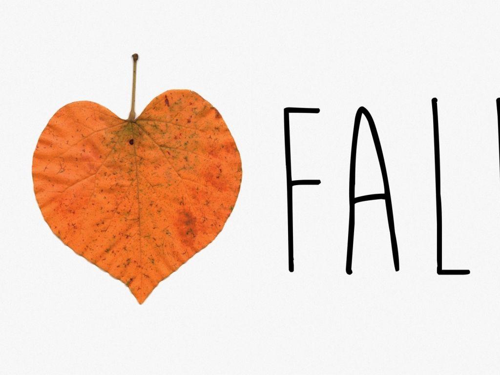 Nifty Wallpapers - Top Free Nifty Backgrounds - WallpaperAccess