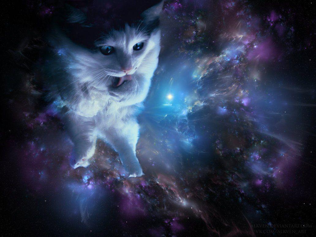 Cat Nebula Wallpapers - Top Free Cat Nebula Backgrounds - WallpaperAccess