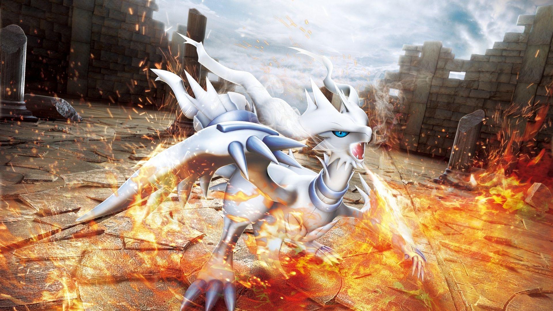 Reshiram Wallpapers - Top Free Reshiram Backgrounds - WallpaperAccess