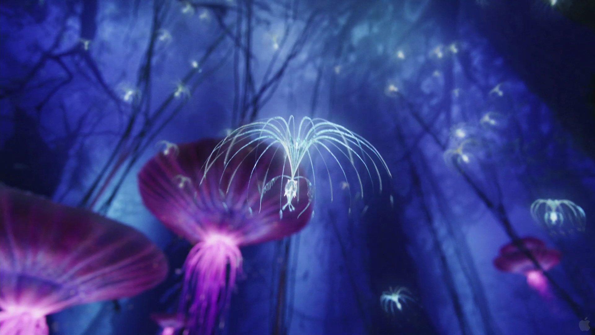 Christmas Movie Wallpapers - Top Free Christmas Movie Backgrounds ...
