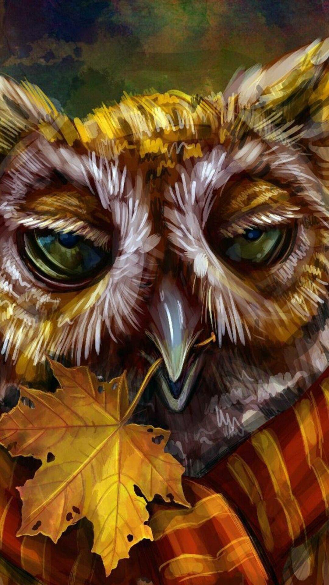 Owl Phone Wallpapers - Top Free Owl Phone Backgrounds - WallpaperAccess