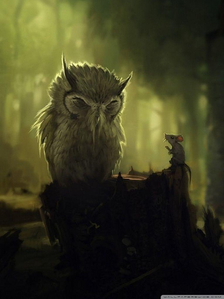 Owl Phone Wallpapers - Top Free Owl Phone Backgrounds - WallpaperAccess