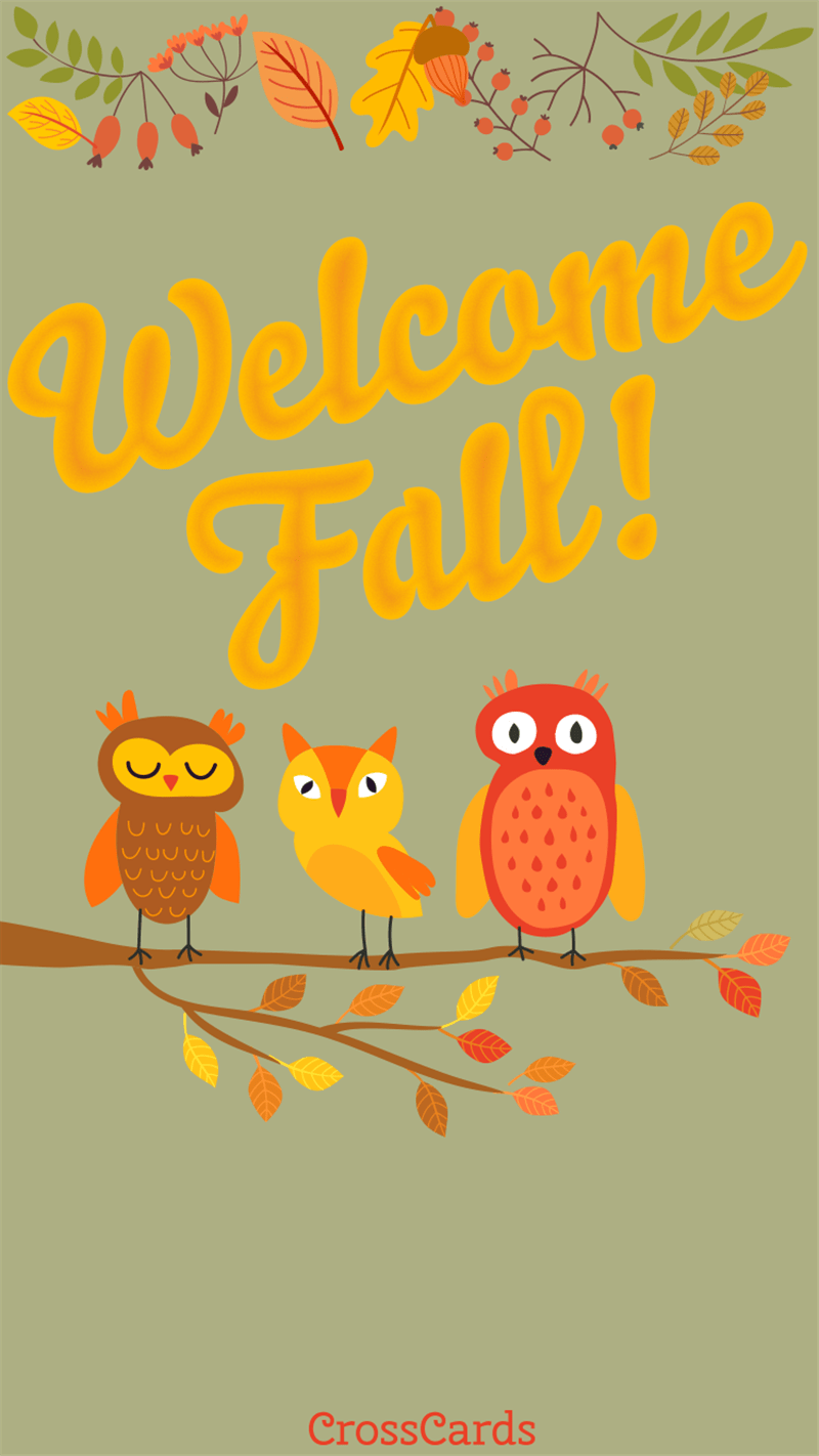 Fall Owls Wallpapers - Top Free Fall Owls Backgrounds - WallpaperAccess