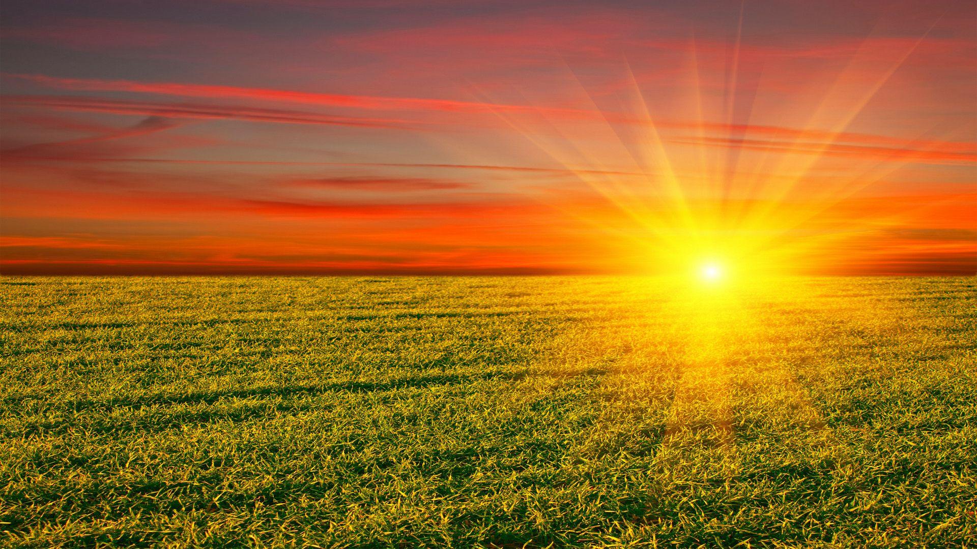sunlight Wallpapers - Top Free sunlight Backgrounds - WallpaperAccess