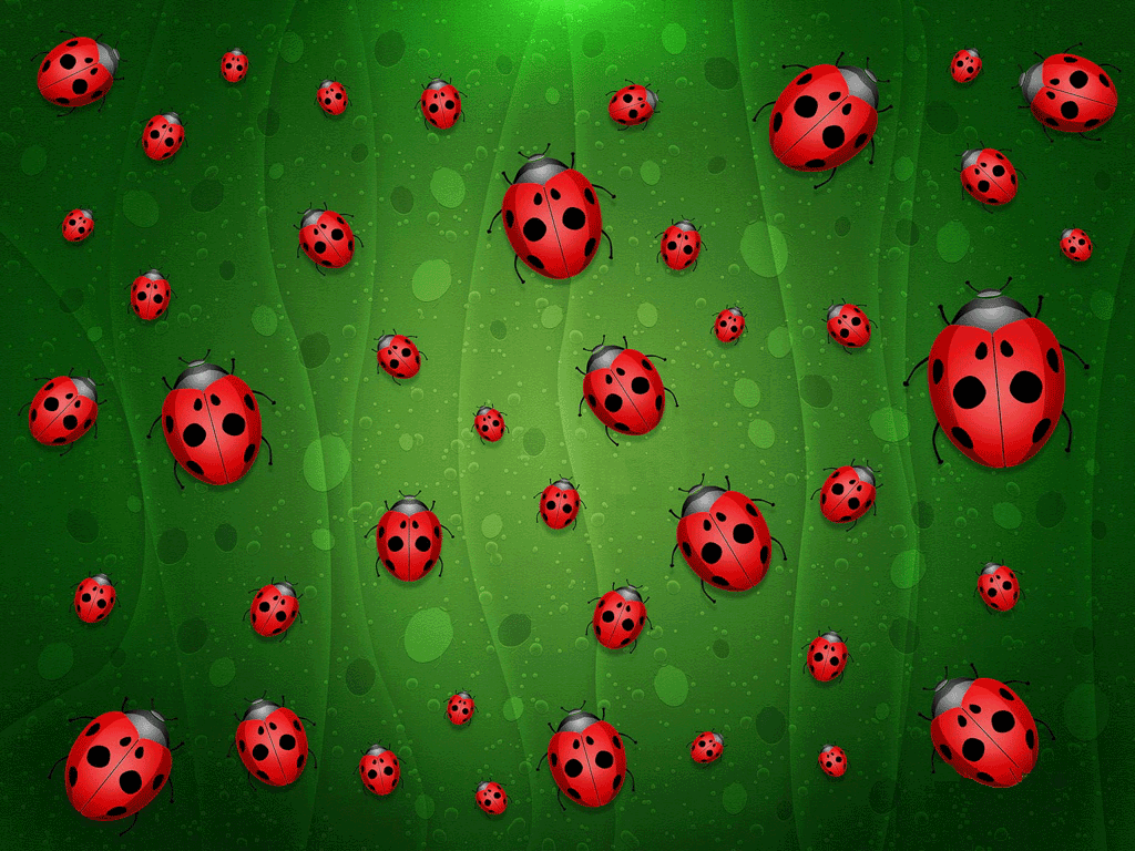 Bug Wallpapers - Top Free Bug Backgrounds - WallpaperAccess