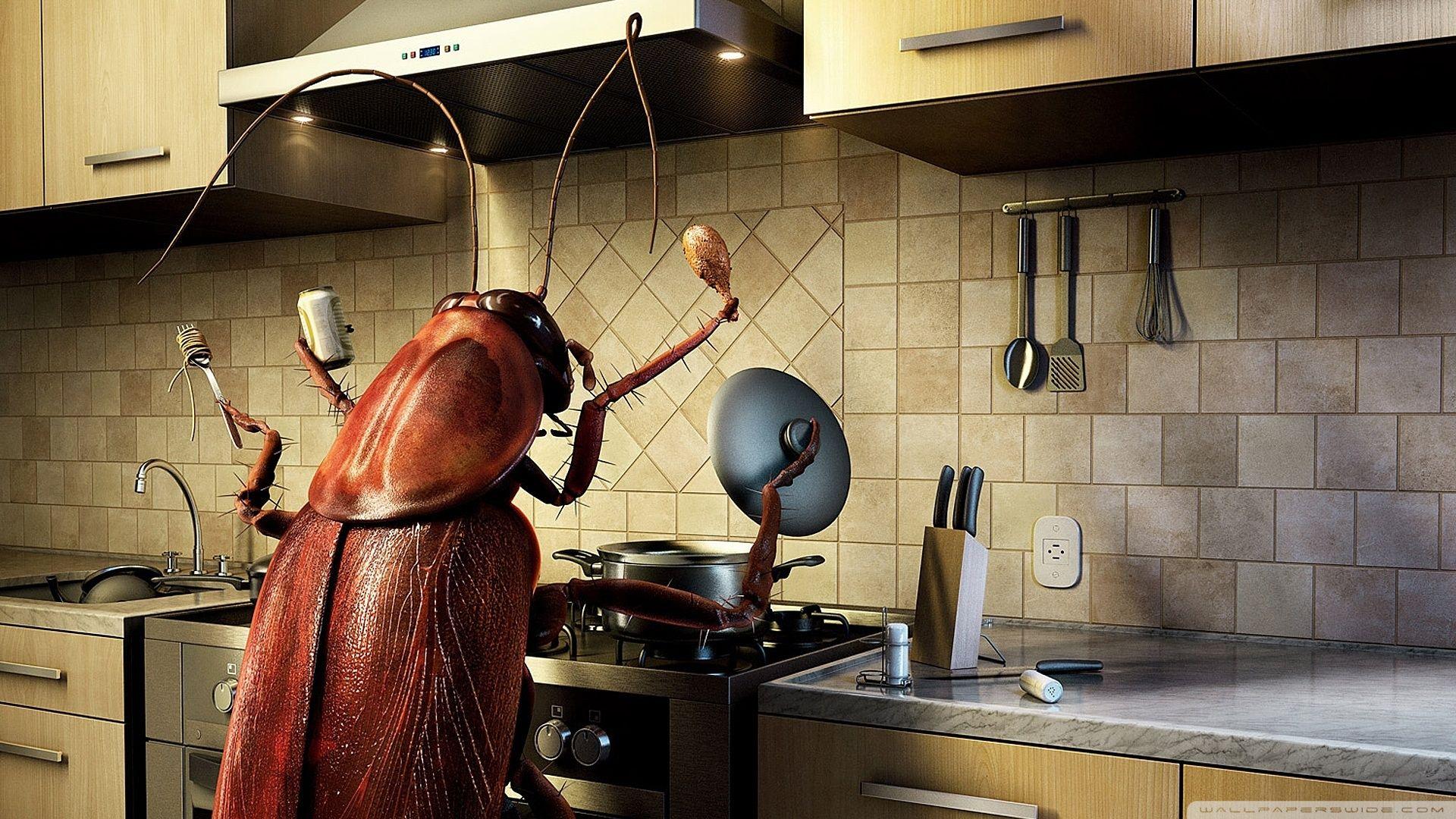 Bug Wallpapers - Top Free Bug Backgrounds - WallpaperAccess