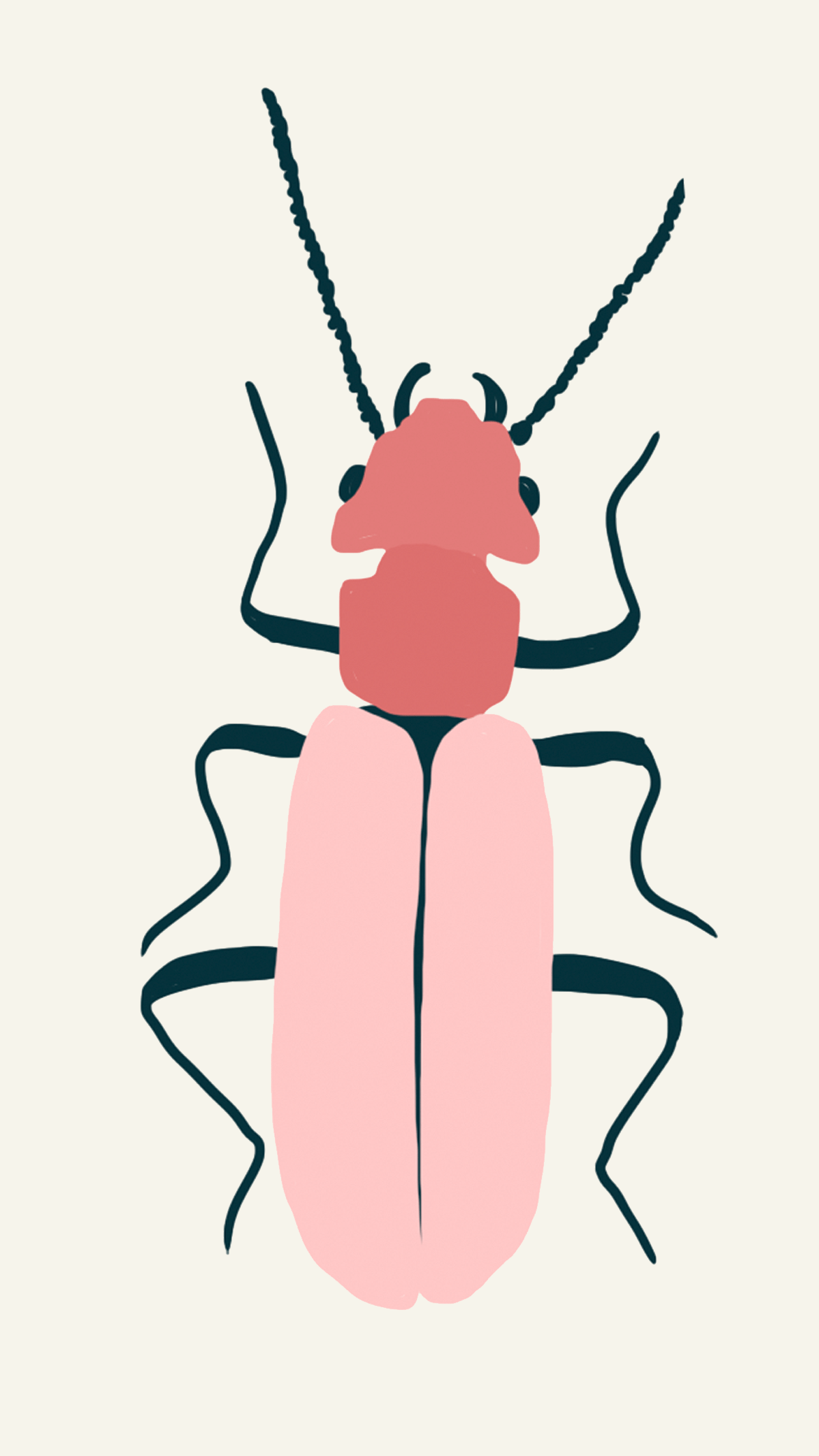 Bug Wallpapers - Top Free Bug Backgrounds - WallpaperAccess