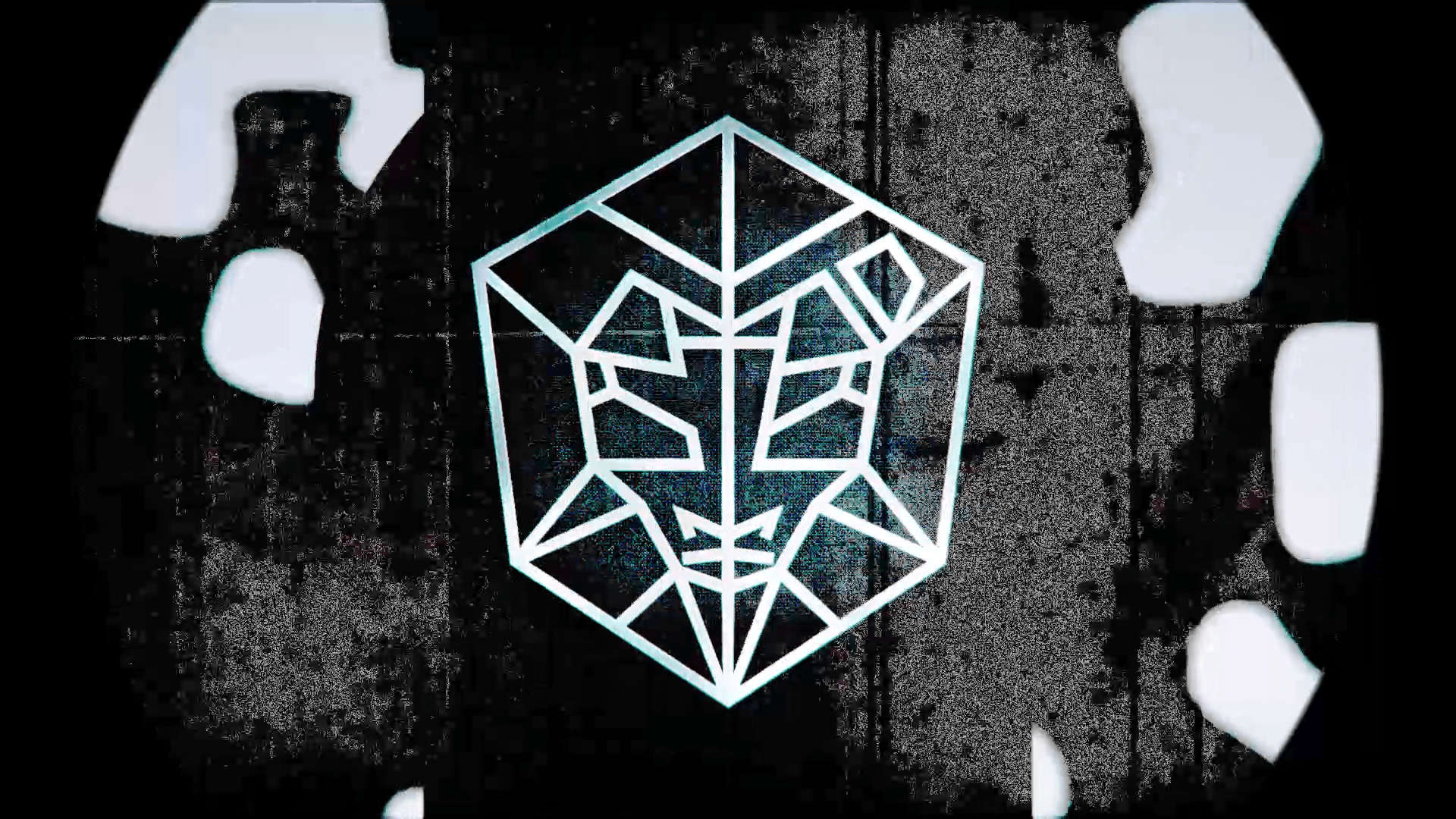 STMPD RCRDS Wallpapers - Top Free STMPD RCRDS Backgrounds - WallpaperAccess