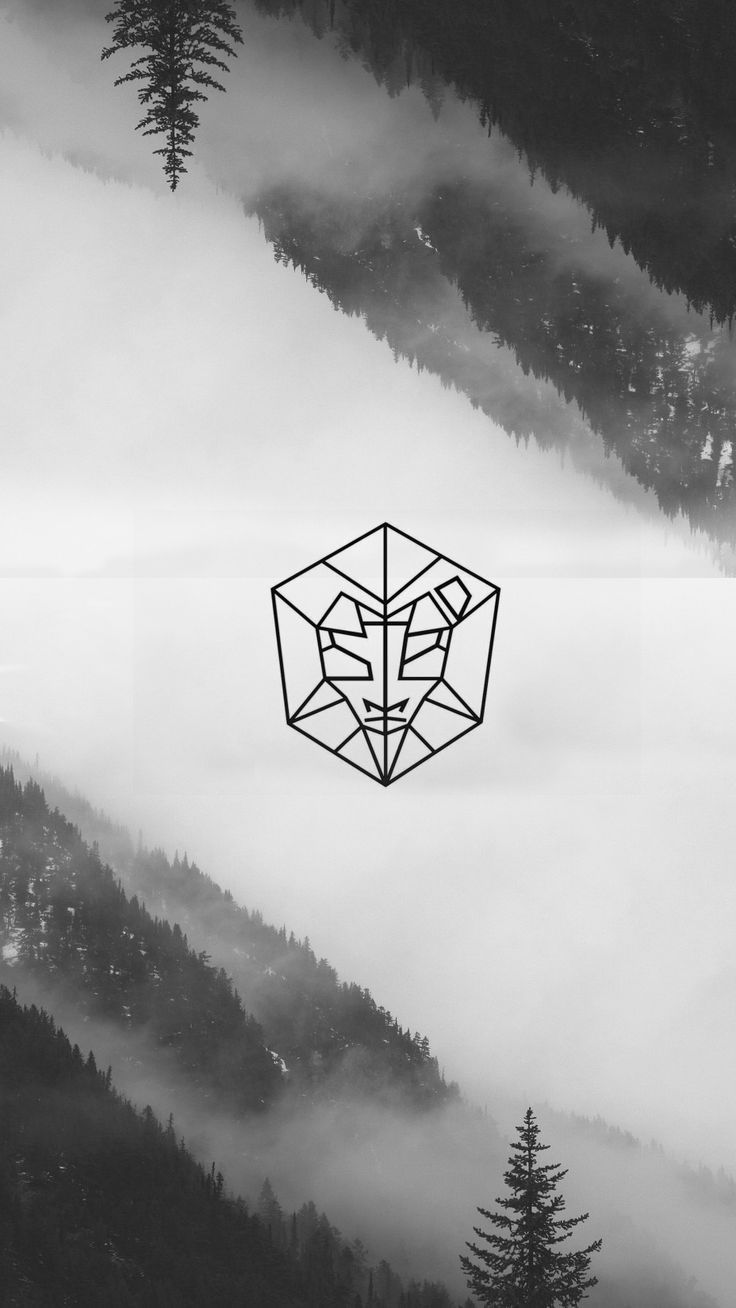 STMPD RCRDS Wallpapers - Top Free STMPD RCRDS Backgrounds - WallpaperAccess