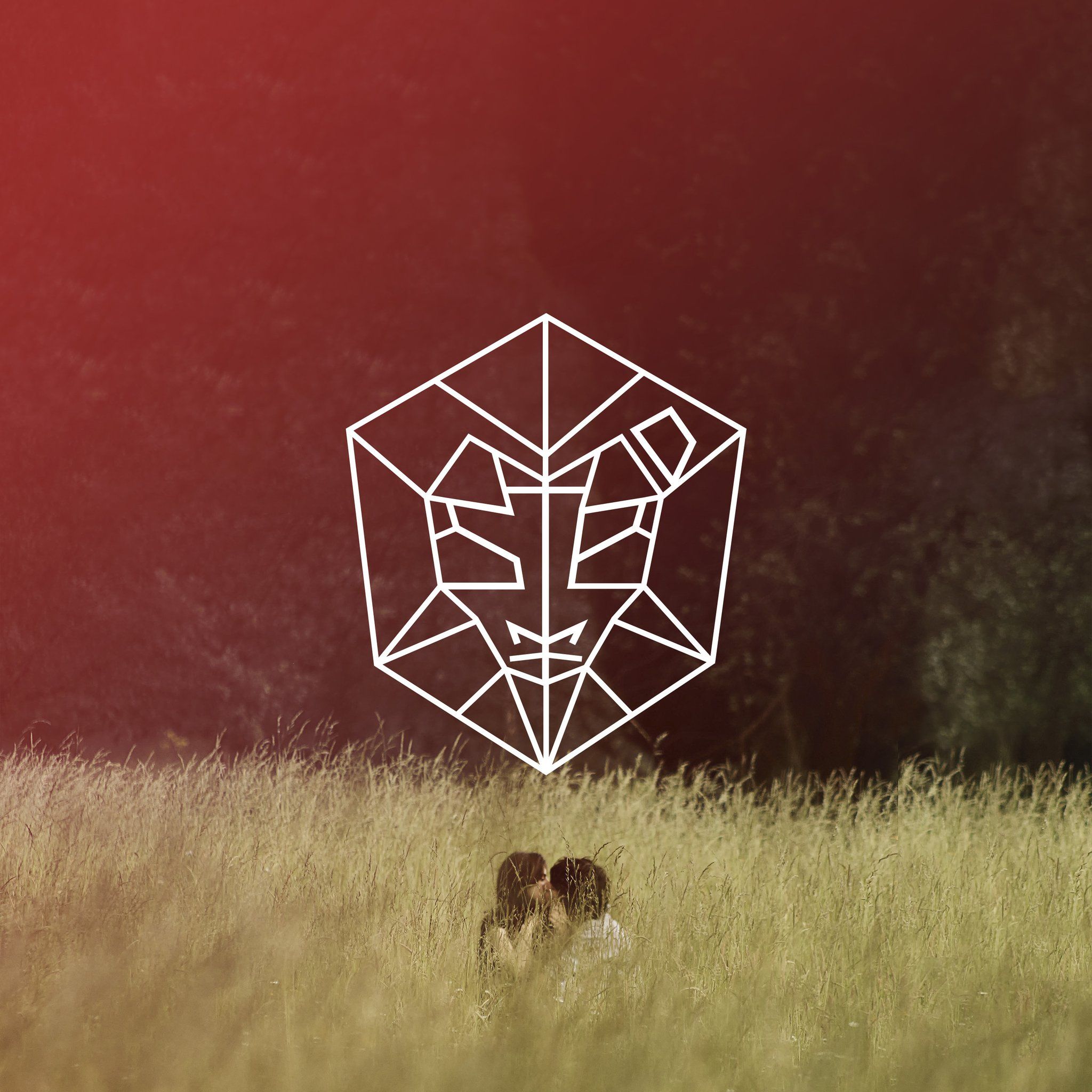 STMPD RCRDS Wallpapers - Top Free STMPD RCRDS Backgrounds - WallpaperAccess