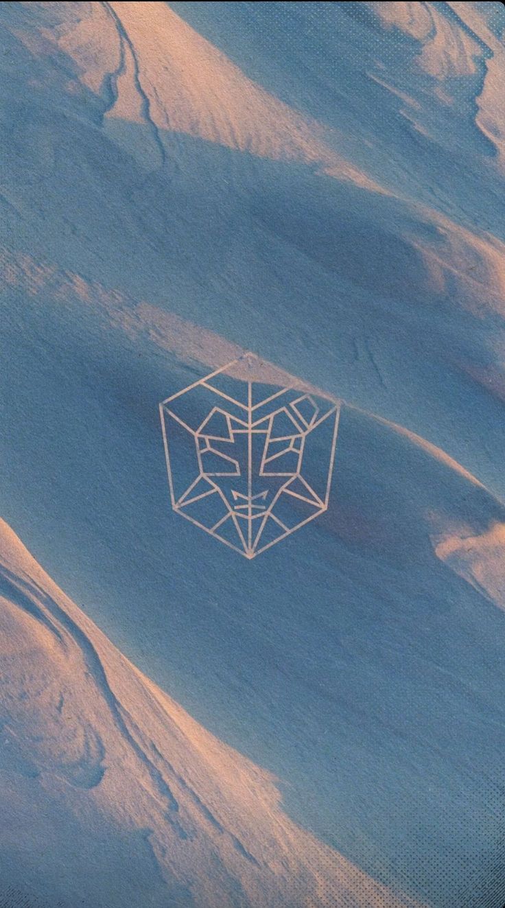 STMPD RCRDS Wallpapers - Top Free STMPD RCRDS Backgrounds - WallpaperAccess