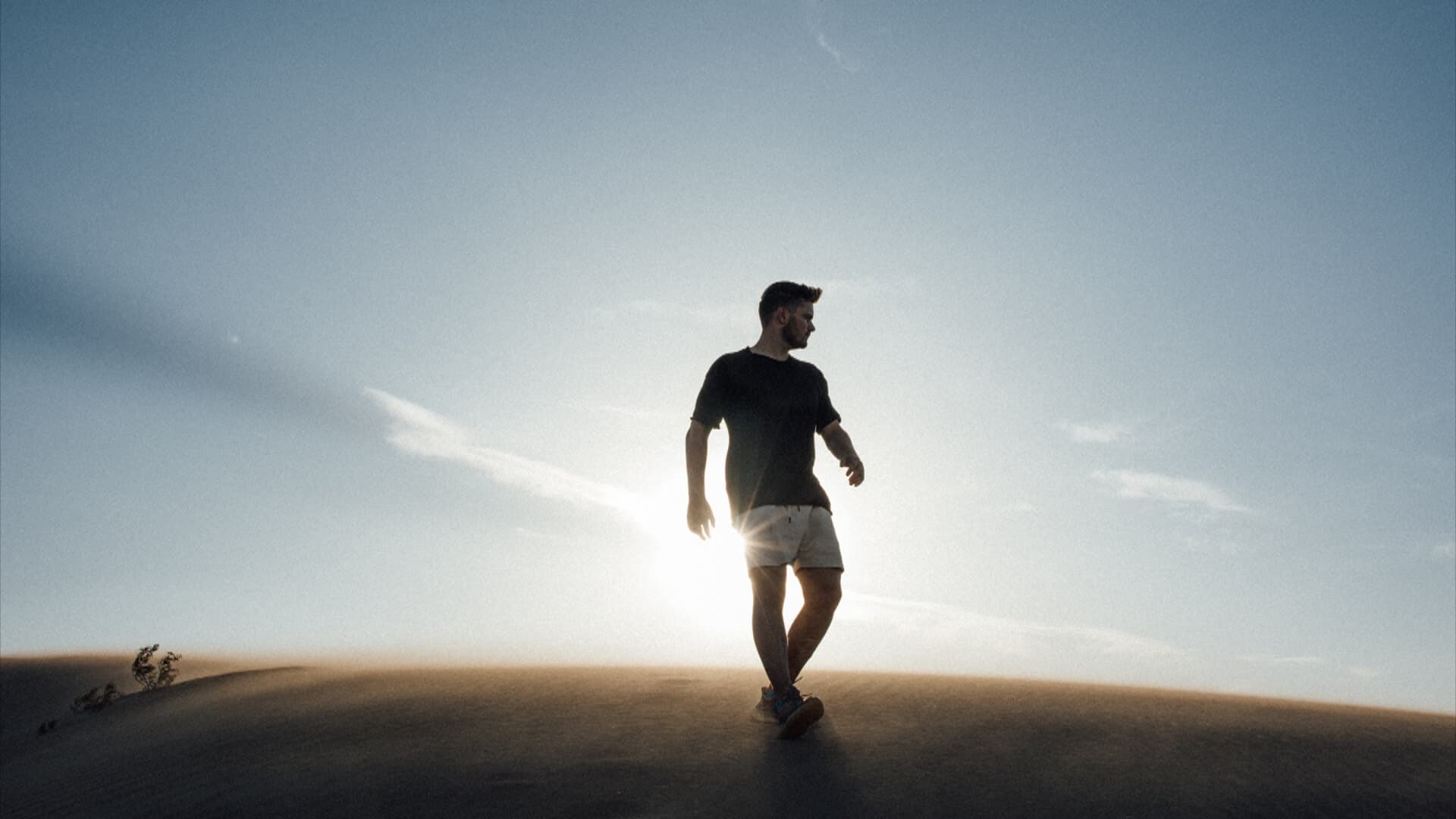 STMPD RCRDS Wallpapers - Top Free STMPD RCRDS Backgrounds - WallpaperAccess