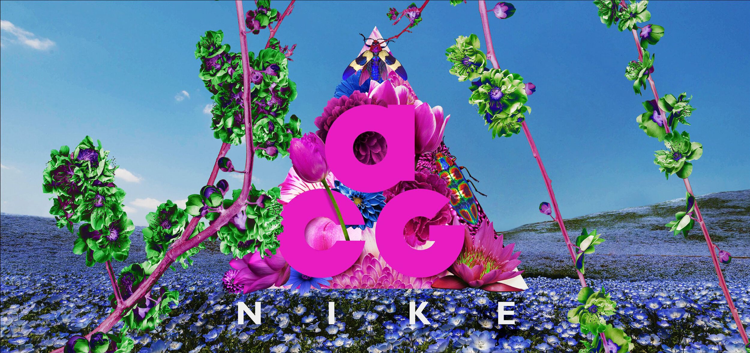 ACG Wallpapers - Top Free ACG Backgrounds - WallpaperAccess