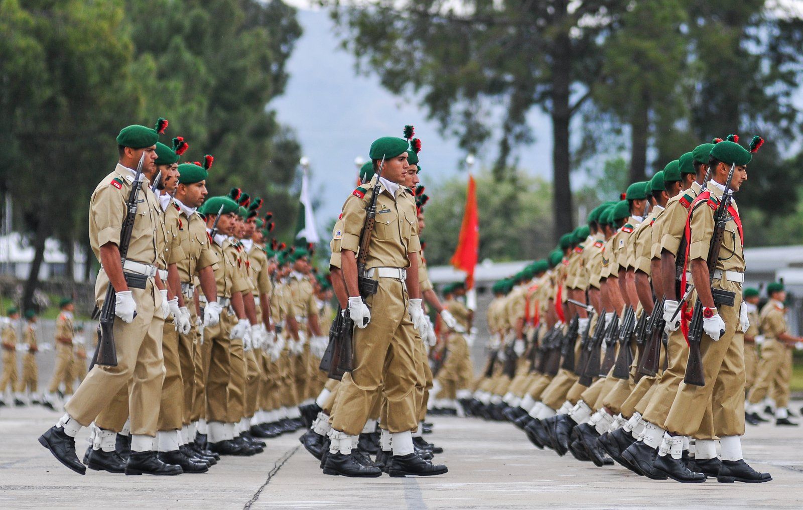 PMA Wallpapers - Top Free PMA Backgrounds - WallpaperAccess