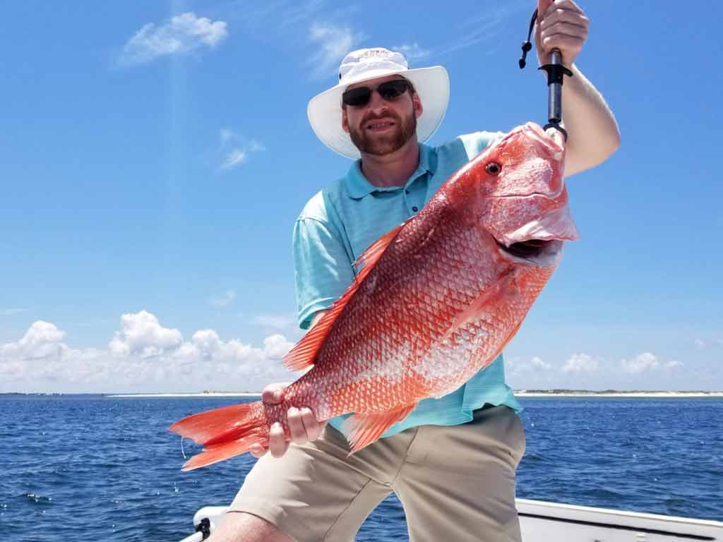 Snapper Wallpapers - Top Free Snapper Backgrounds - WallpaperAccess