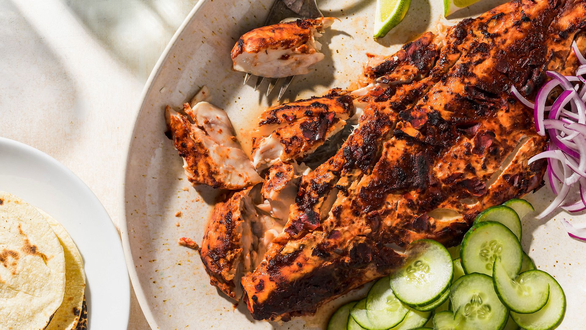 Snapper Wallpapers - Top Free Snapper Backgrounds - WallpaperAccess