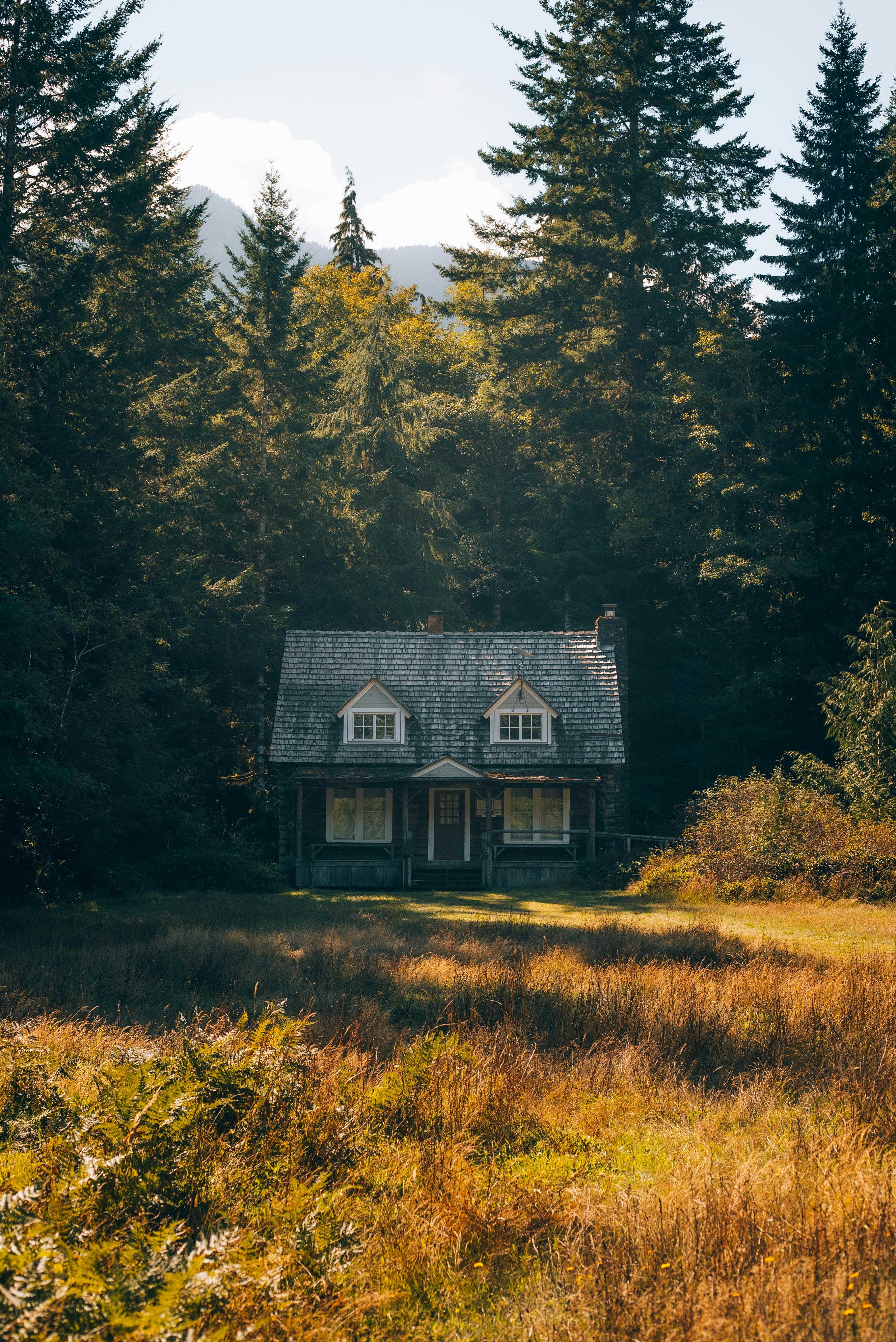 The House In The Forest Wallpapers - Top Free The House In The Forest ...