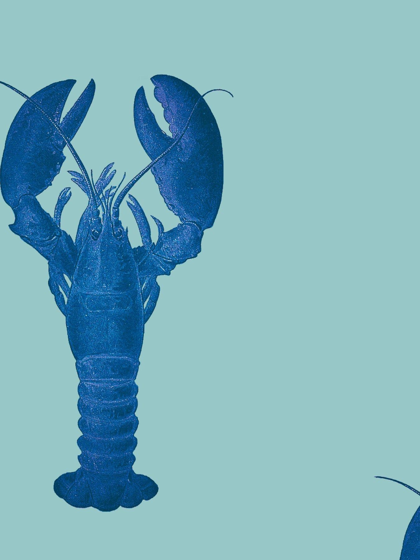 Crayfish Wallpapers - Top Free Crayfish Backgrounds - WallpaperAccess