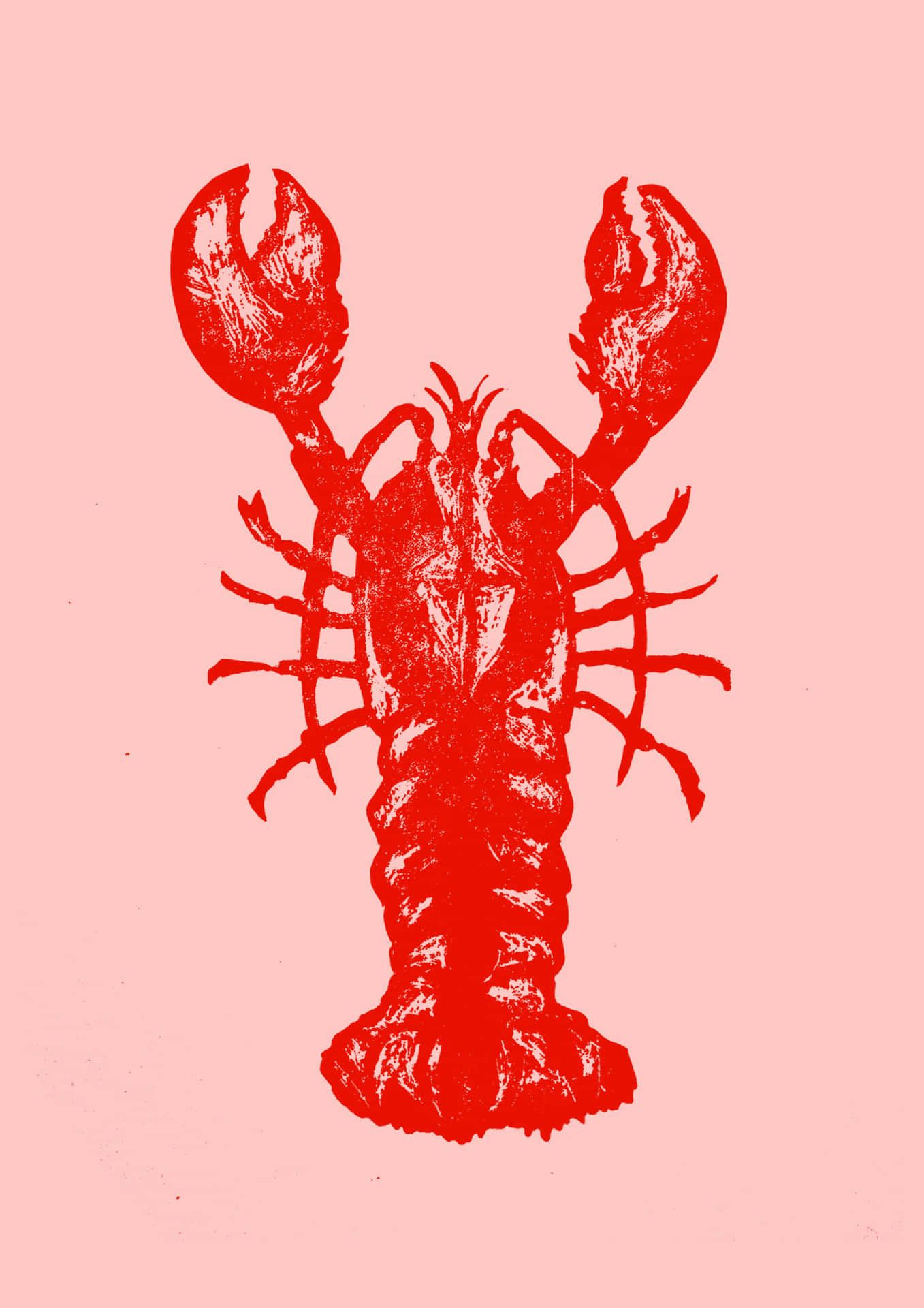 Crayfish Wallpapers - Top Free Crayfish Backgrounds - WallpaperAccess