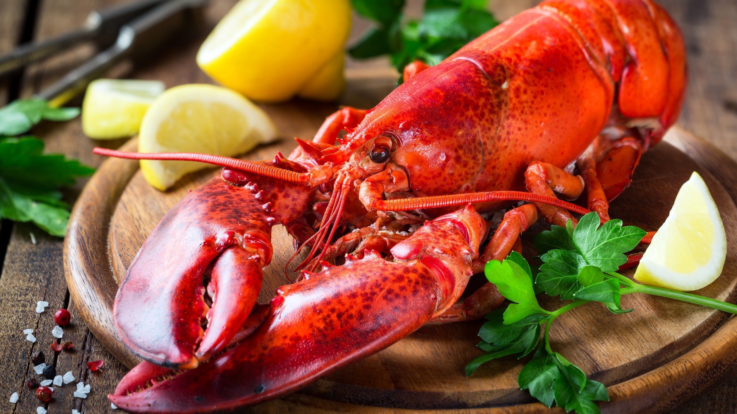 Crayfish Wallpapers - Top Free Crayfish Backgrounds - WallpaperAccess