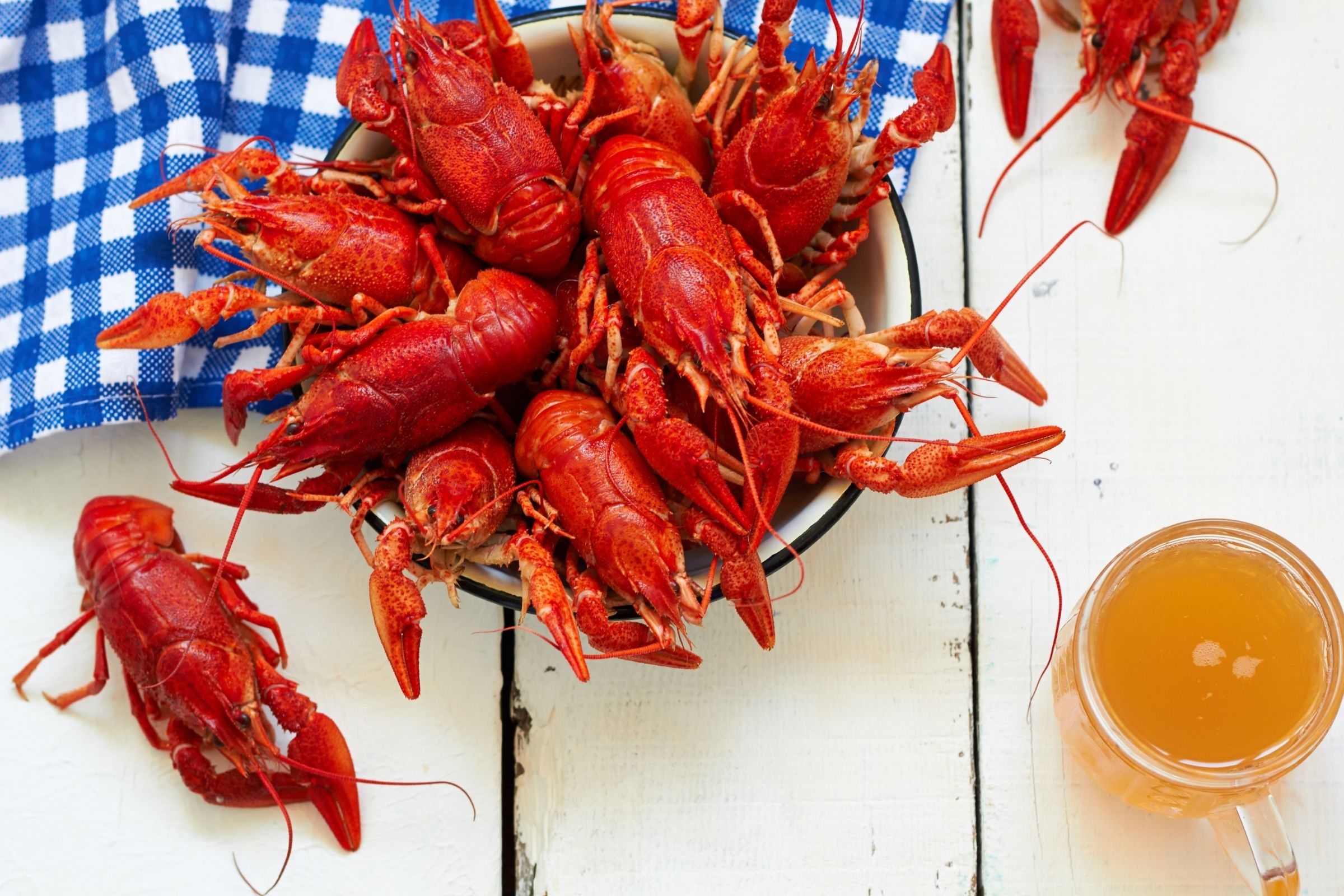 Crayfish Wallpapers - Top Free Crayfish Backgrounds - WallpaperAccess