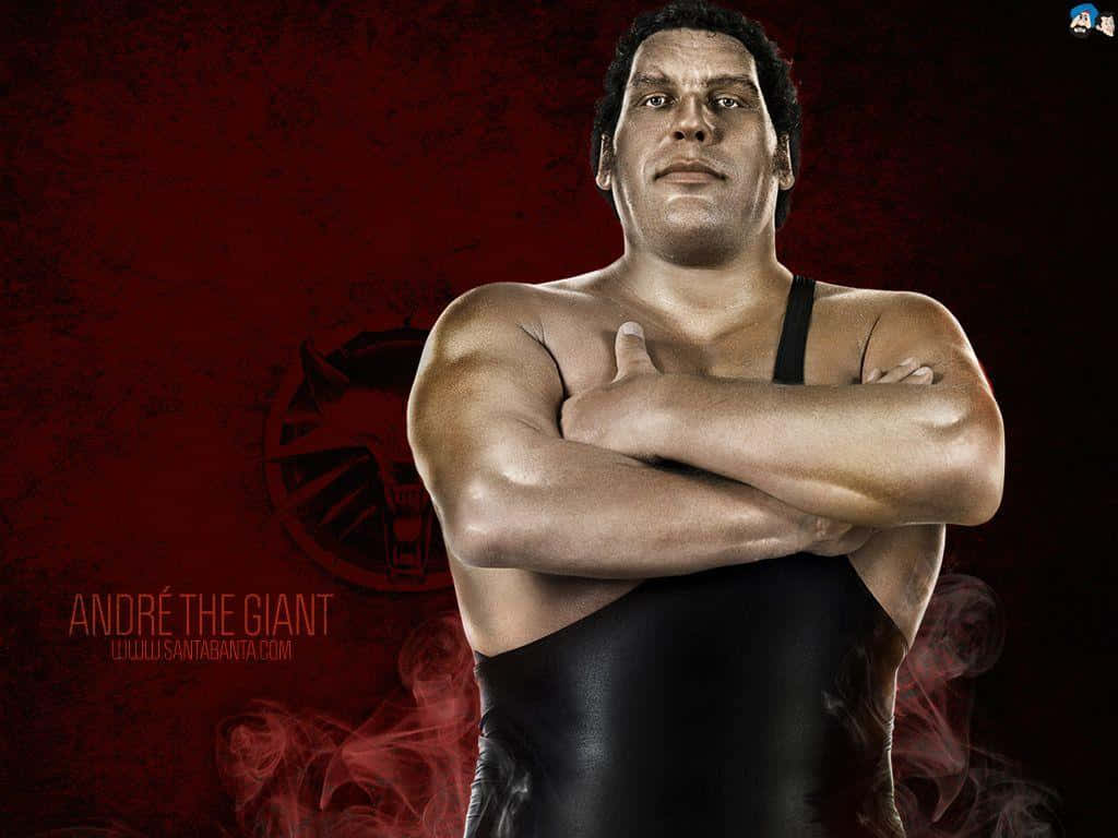 André The Giant Wallpapers - Top Free André The Giant Backgrounds ...