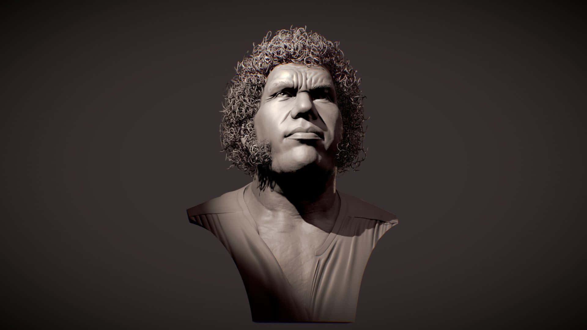 André The Giant Wallpapers - Top Free André The Giant Backgrounds ...