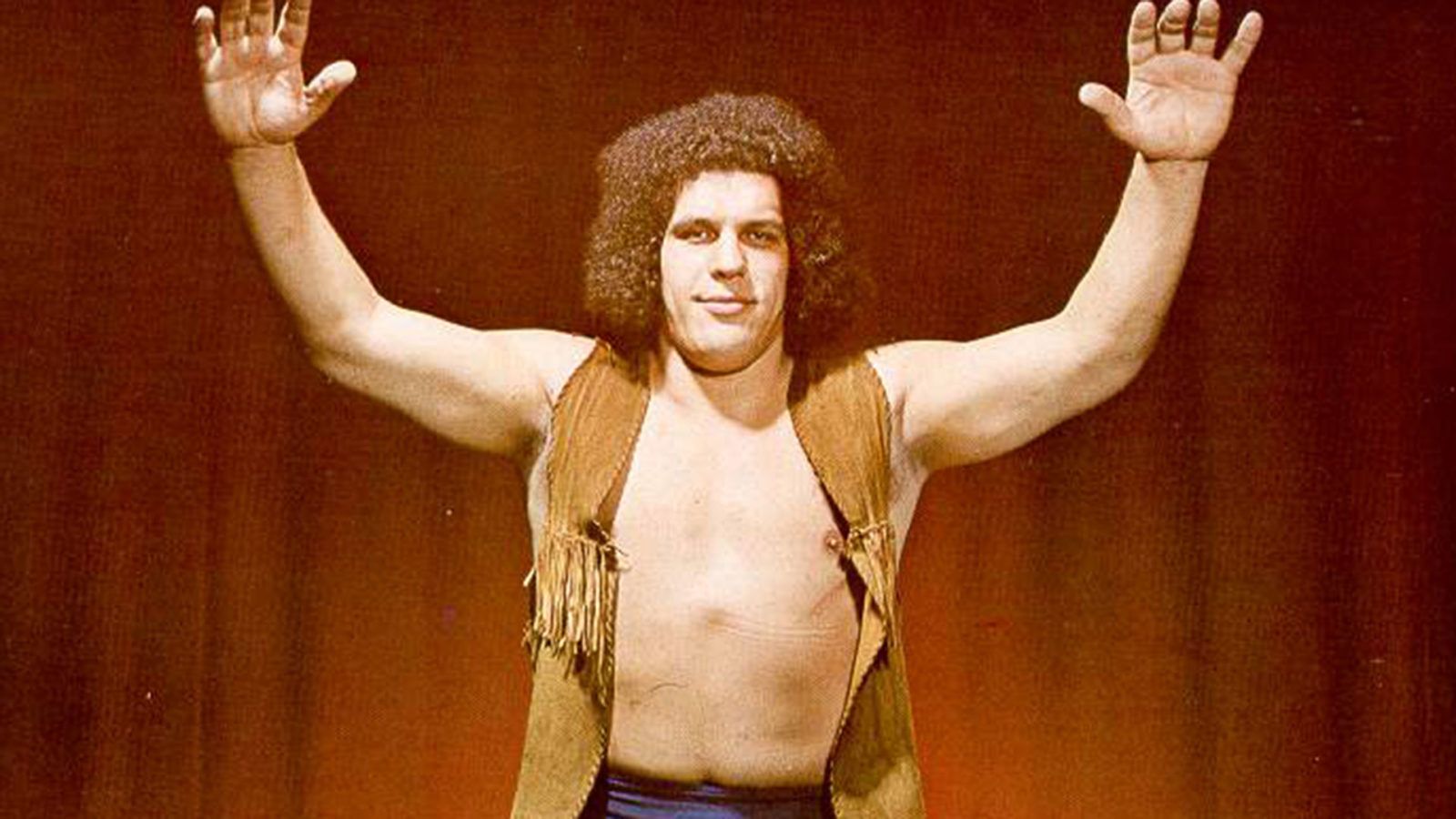 André The Giant Wallpapers - Top Free André The Giant Backgrounds ...