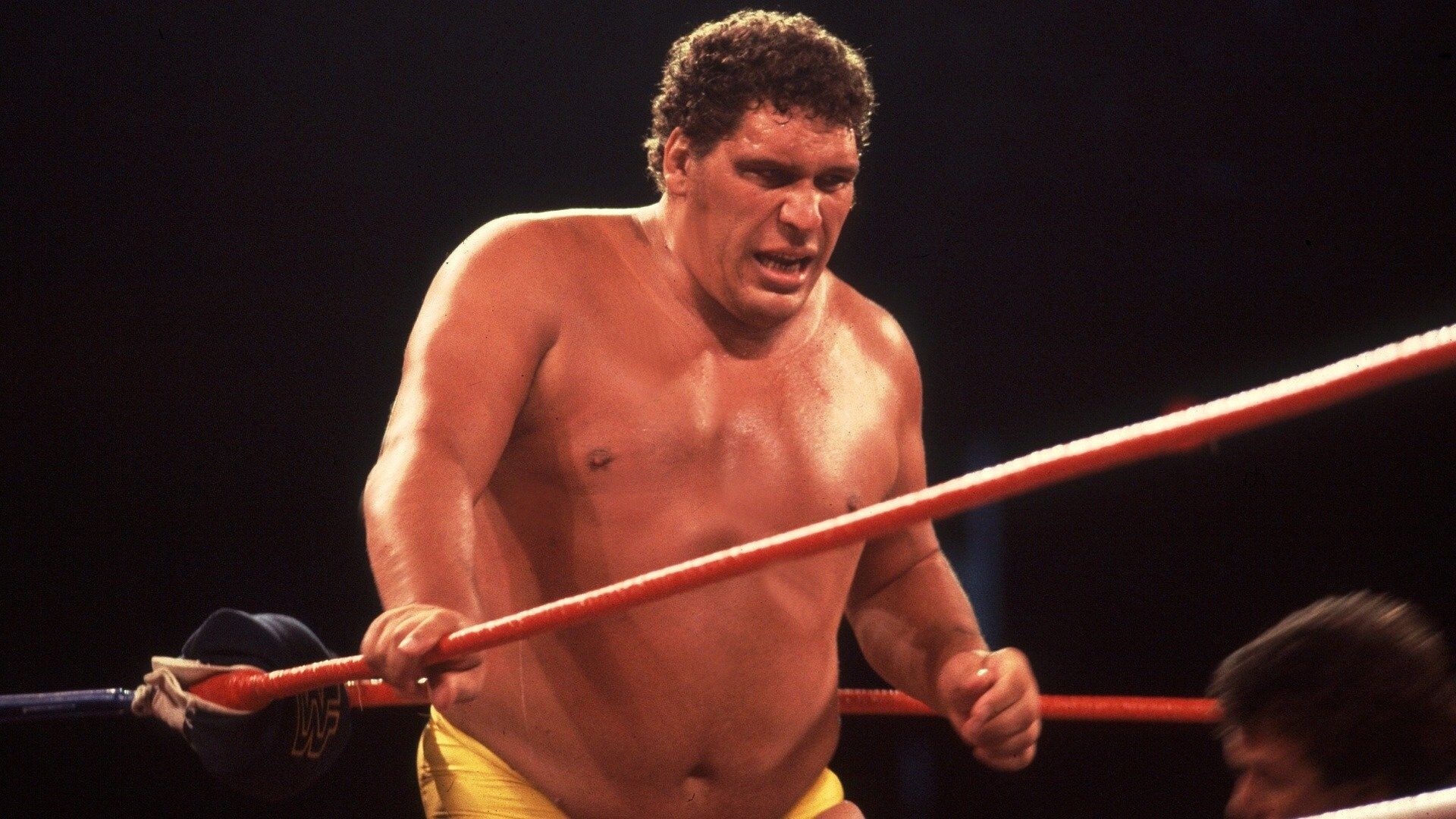 André The Giant Wallpapers - Top Free André The Giant Backgrounds ...