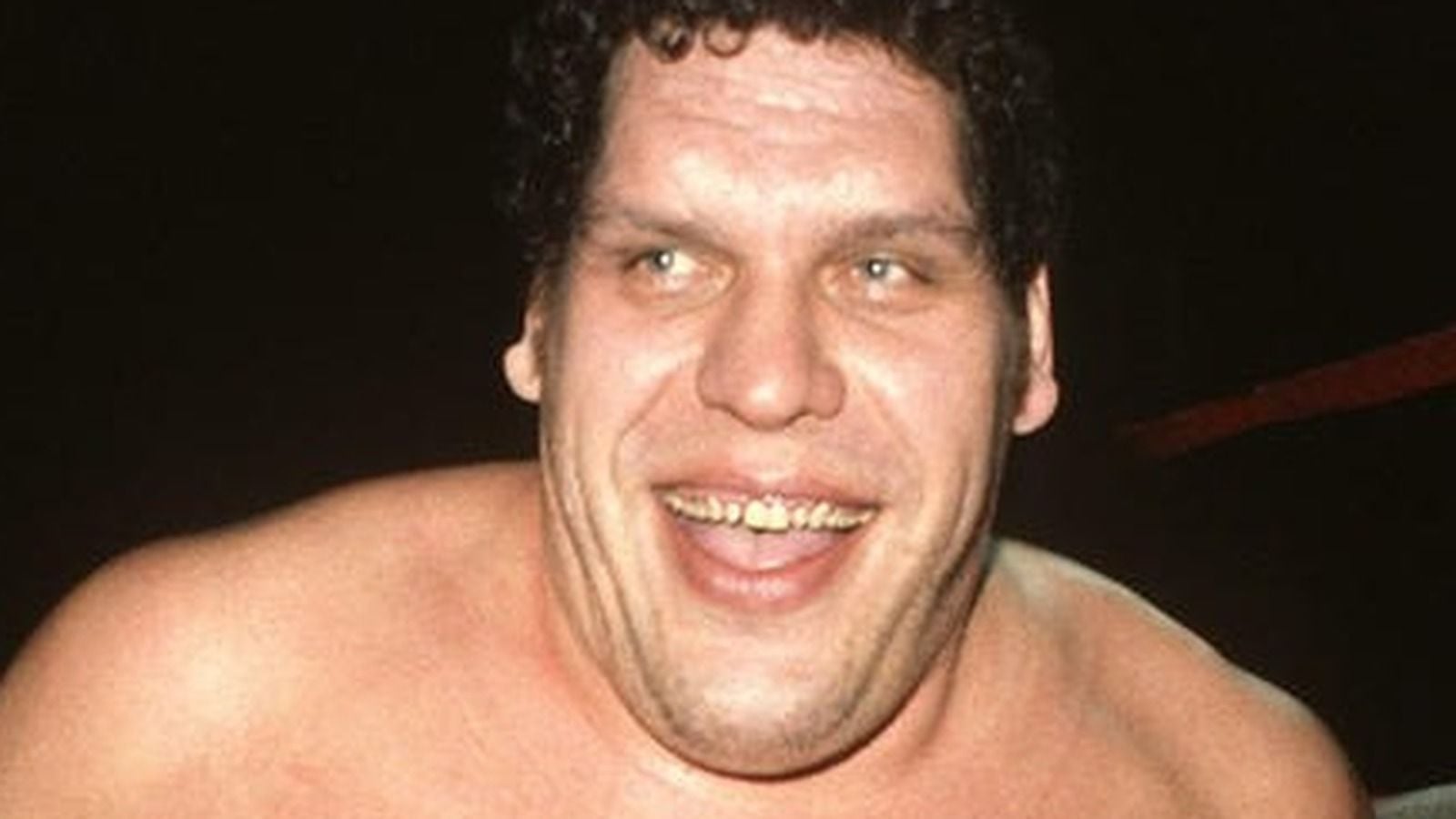 André The Giant Wallpapers - Top Free André The Giant Backgrounds ...