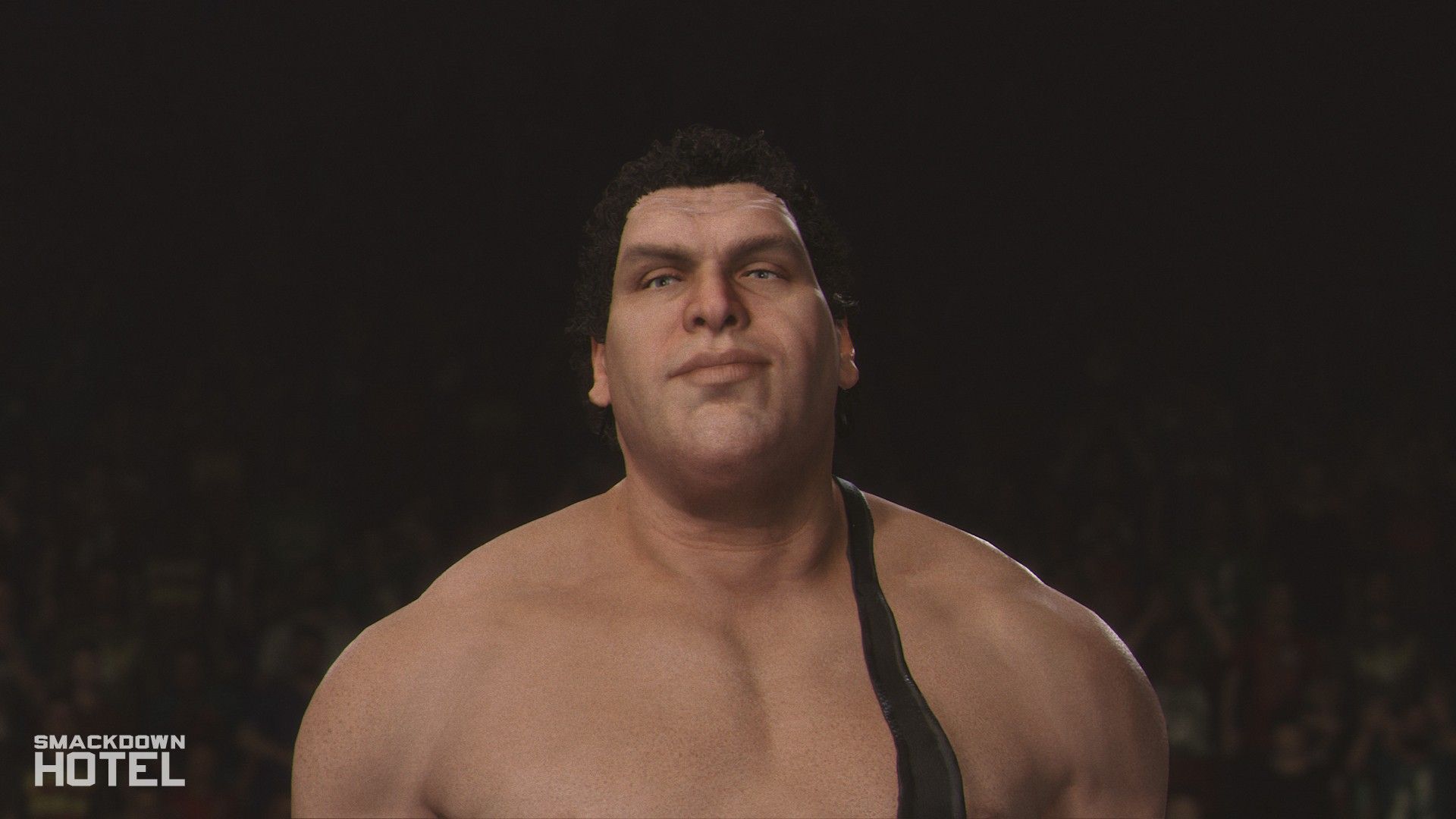 André The Giant Wallpapers - Top Free André The Giant Backgrounds ...