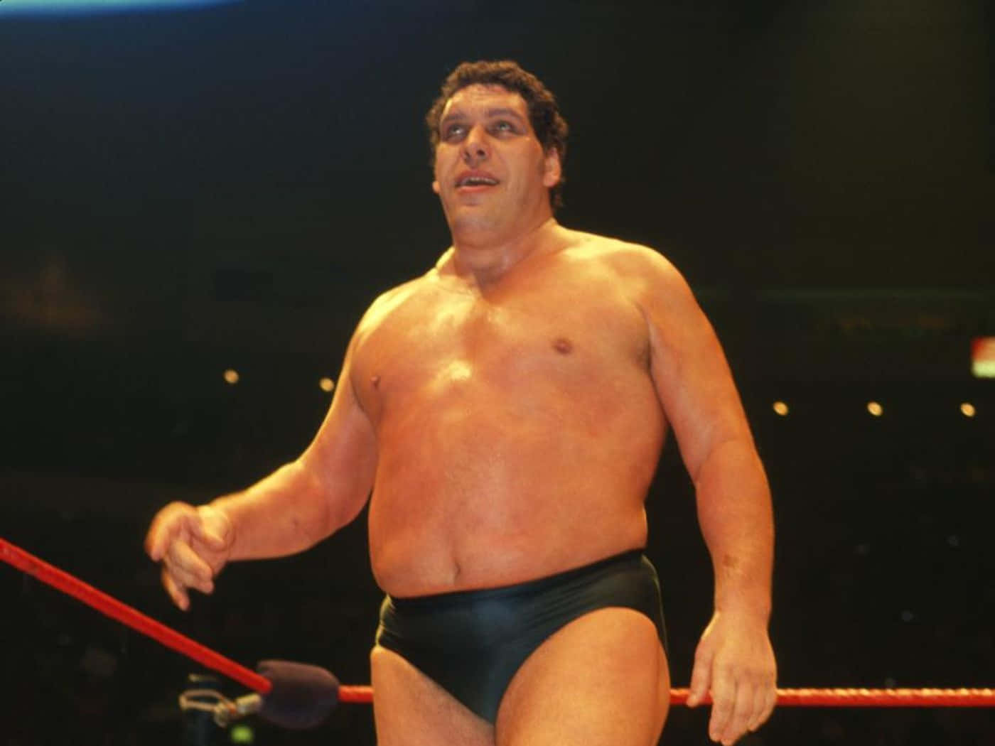 André The Giant Wallpapers - Top Free André The Giant Backgrounds ...