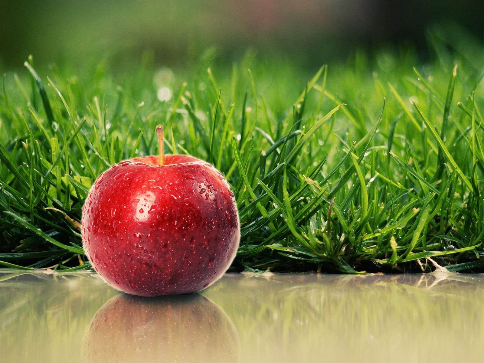 Cute Fruit Desktop Wallpapers - Top Free Cute Fruit Desktop Backgrounds ...