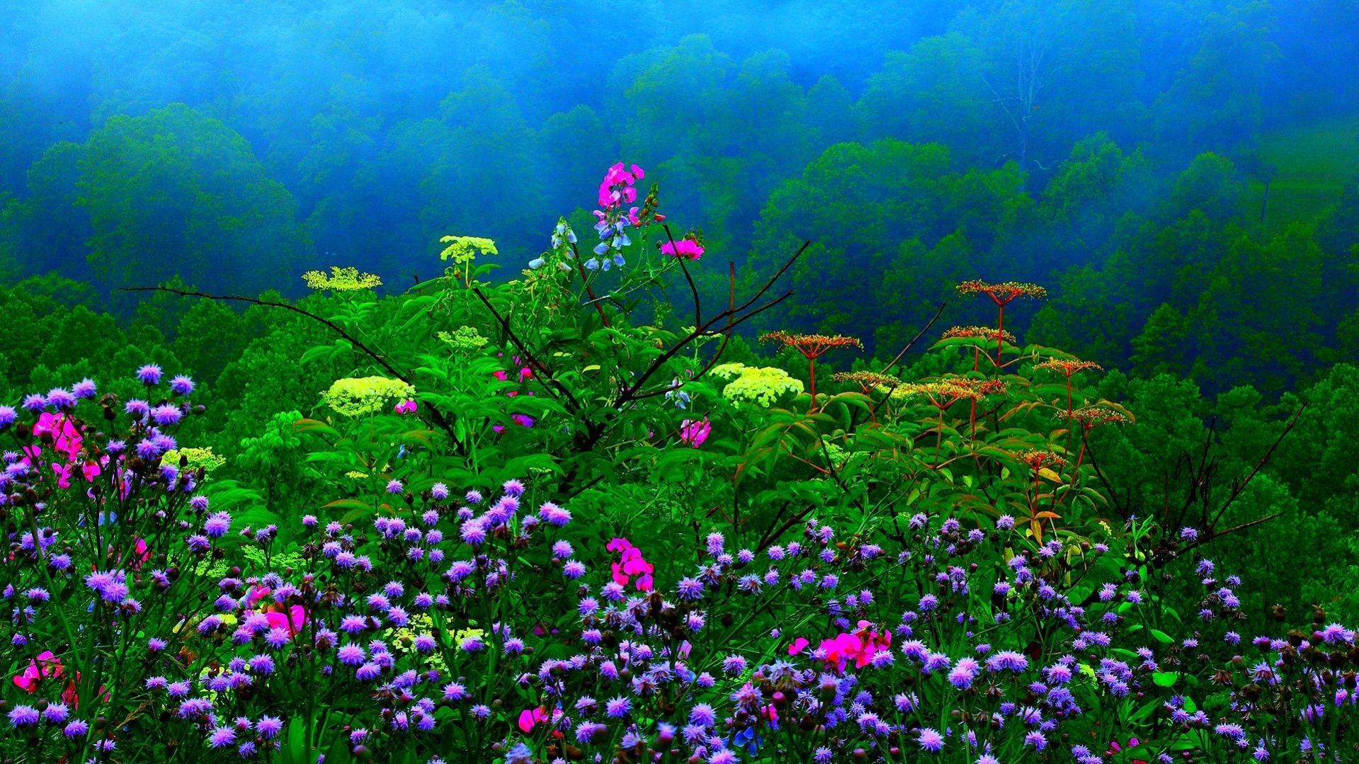 Color Abstract Spring Wallpapers - Top Free Color Abstract Spring ...