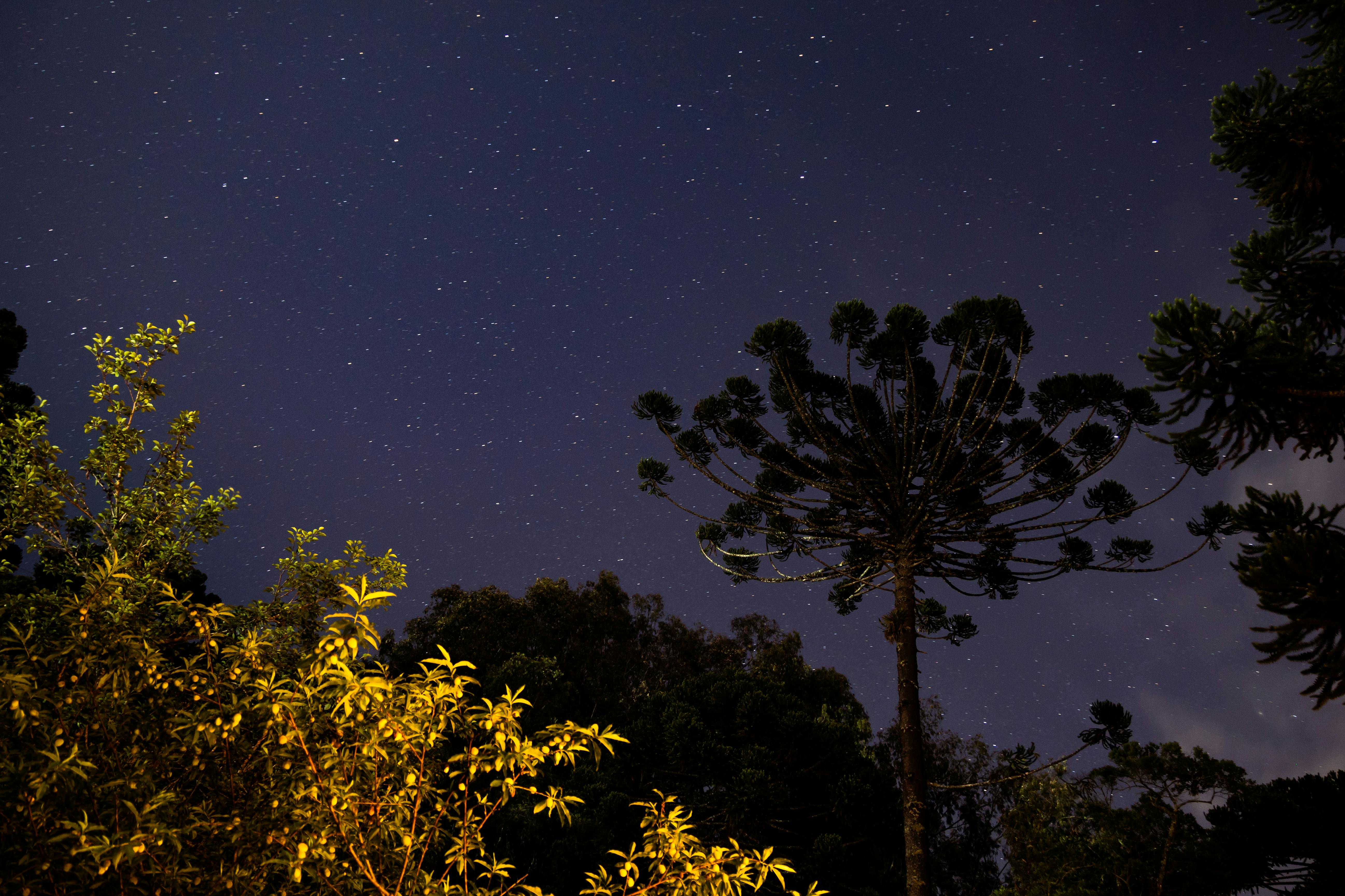 Clear Night Sky Wallpapers - Top Free Clear Night Sky Backgrounds ...
