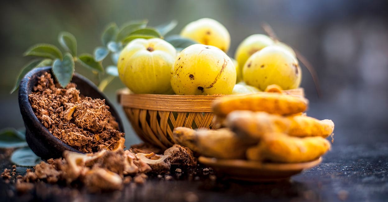 Amla Wallpapers - Top Free Amla Backgrounds - WallpaperAccess