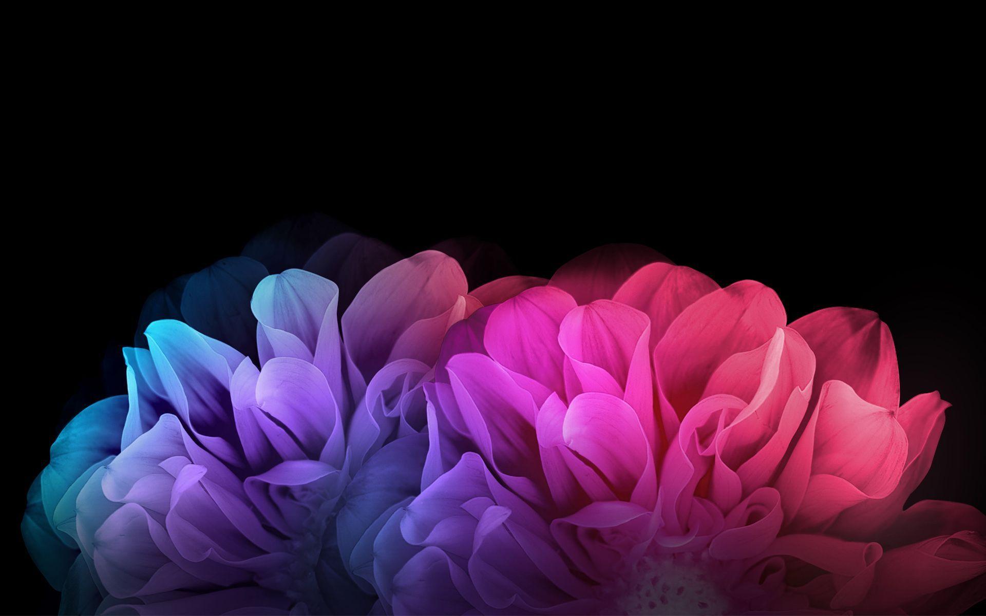 Dark Flower Wallpapers - Top Free Dark Flower Backgrounds - WallpaperAccess